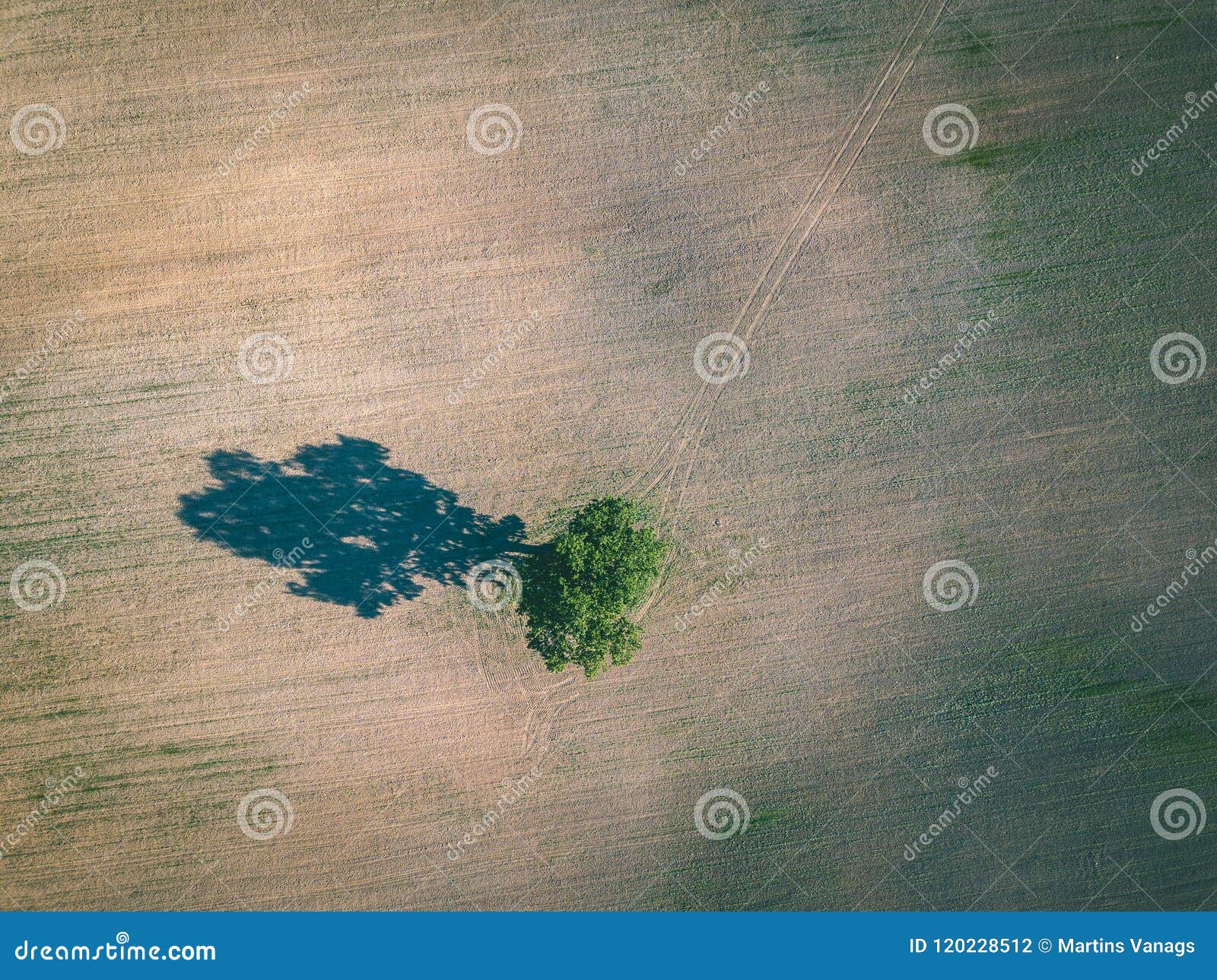 Drone Image. Aerial View of Empty Cultivated Fields with Lonely Stock ...