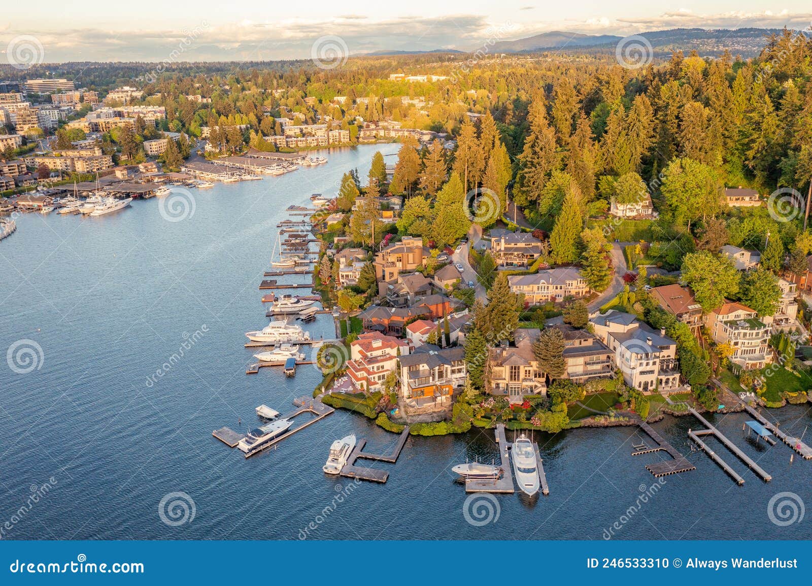 Drone Looking Down on Bellevue Washington Over the Bay with Houses ...