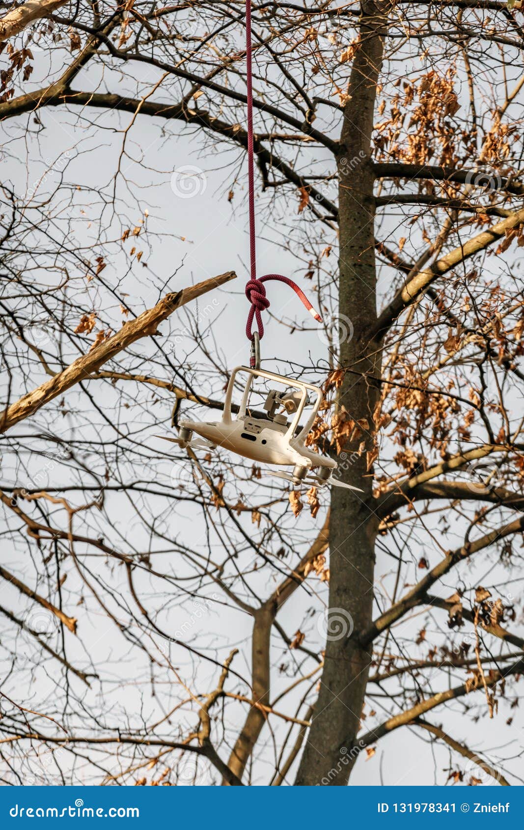 The Drone is Lowered on a Rope after Being Rescued from the Treetop ...