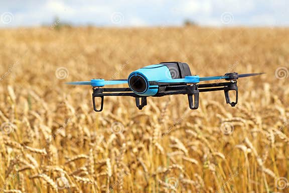 Drone over the field stock photo. Image of professional - 99544686