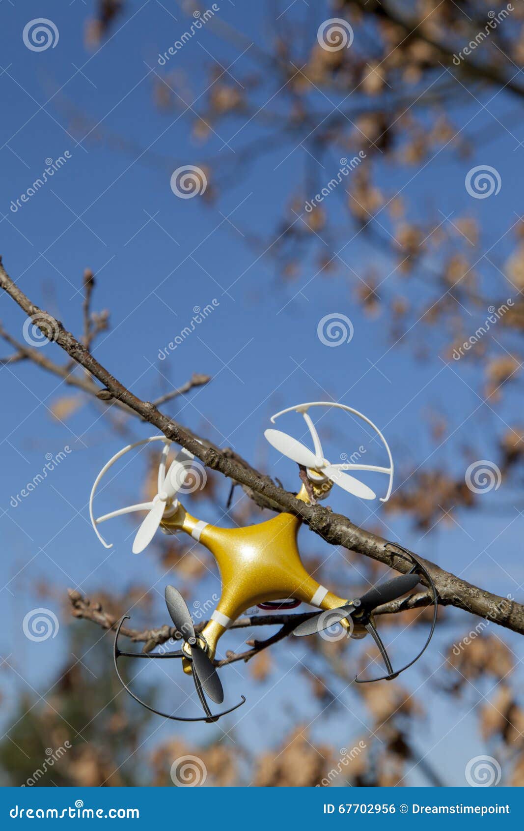 Drone Quadcopter Crashed on Tree in City Park Stock Photo - Image of ...
