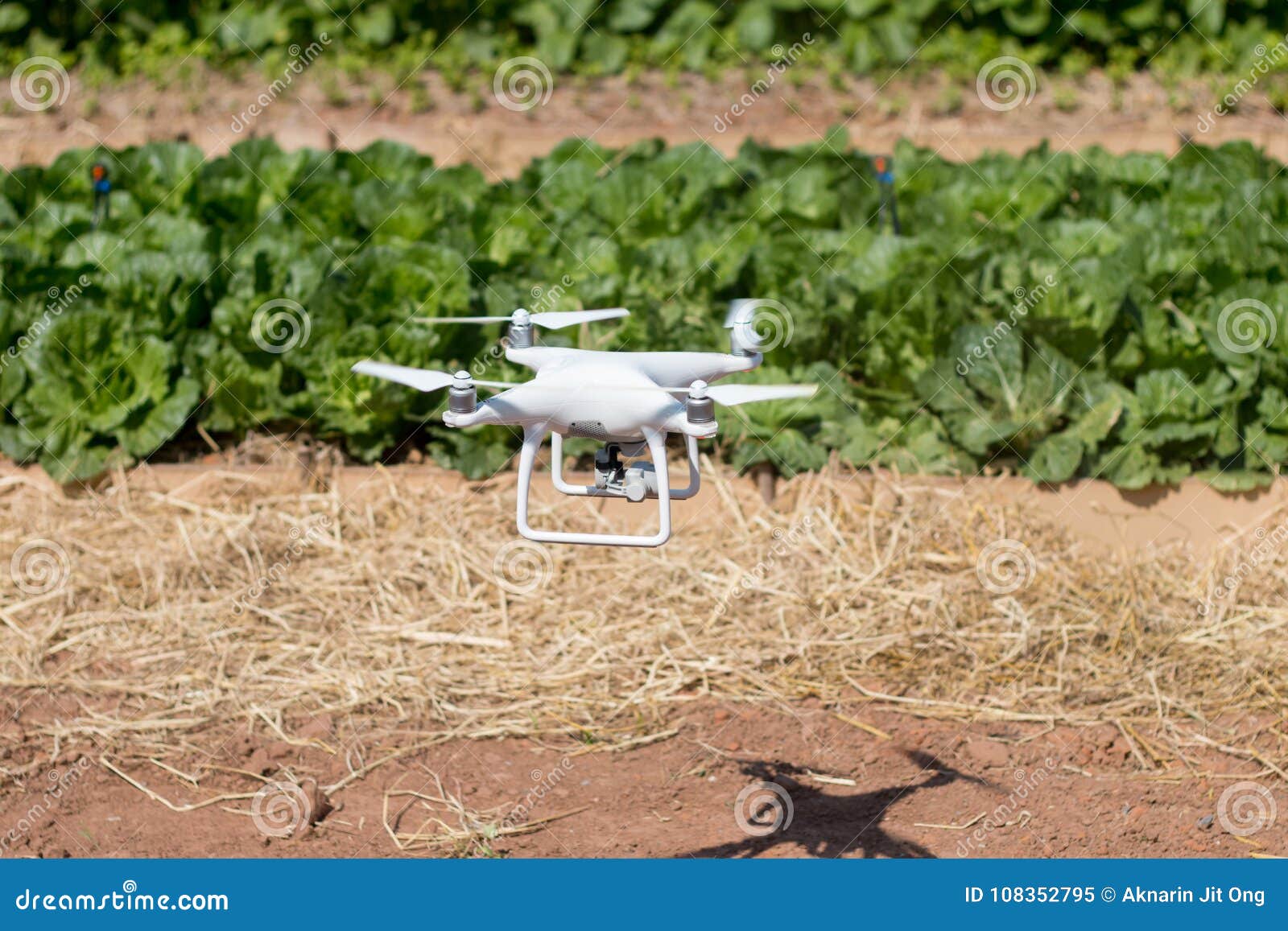 Drone Quadcopter Hover on Fram,fly on the Farm Stock Image - Image of ...