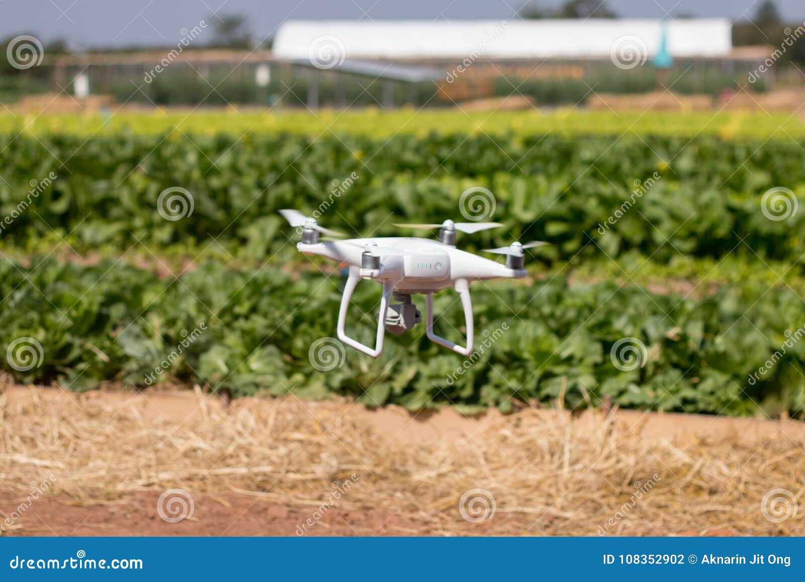 Drone Quadcopter Hover on Sky Background,drone Camera,in Farm Stock ...
