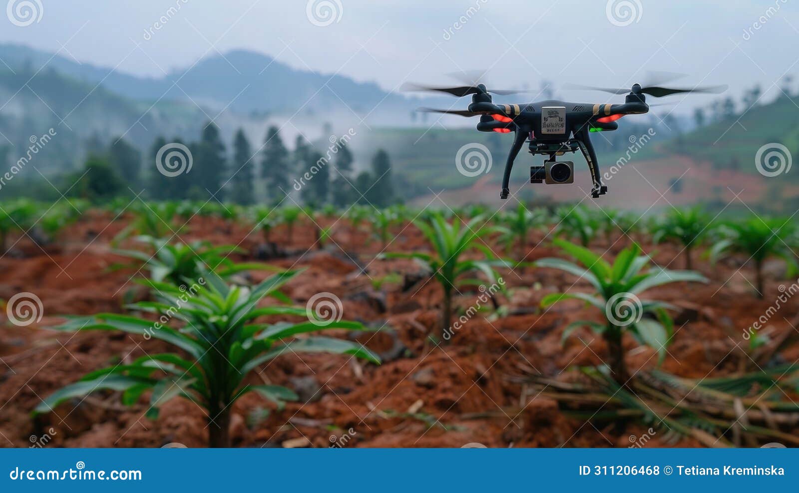 A Drone Reforestation Project in Action, Drones Planting Trees in ... A Drone Reforestation Project in Action, Drones Planting Trees in ...