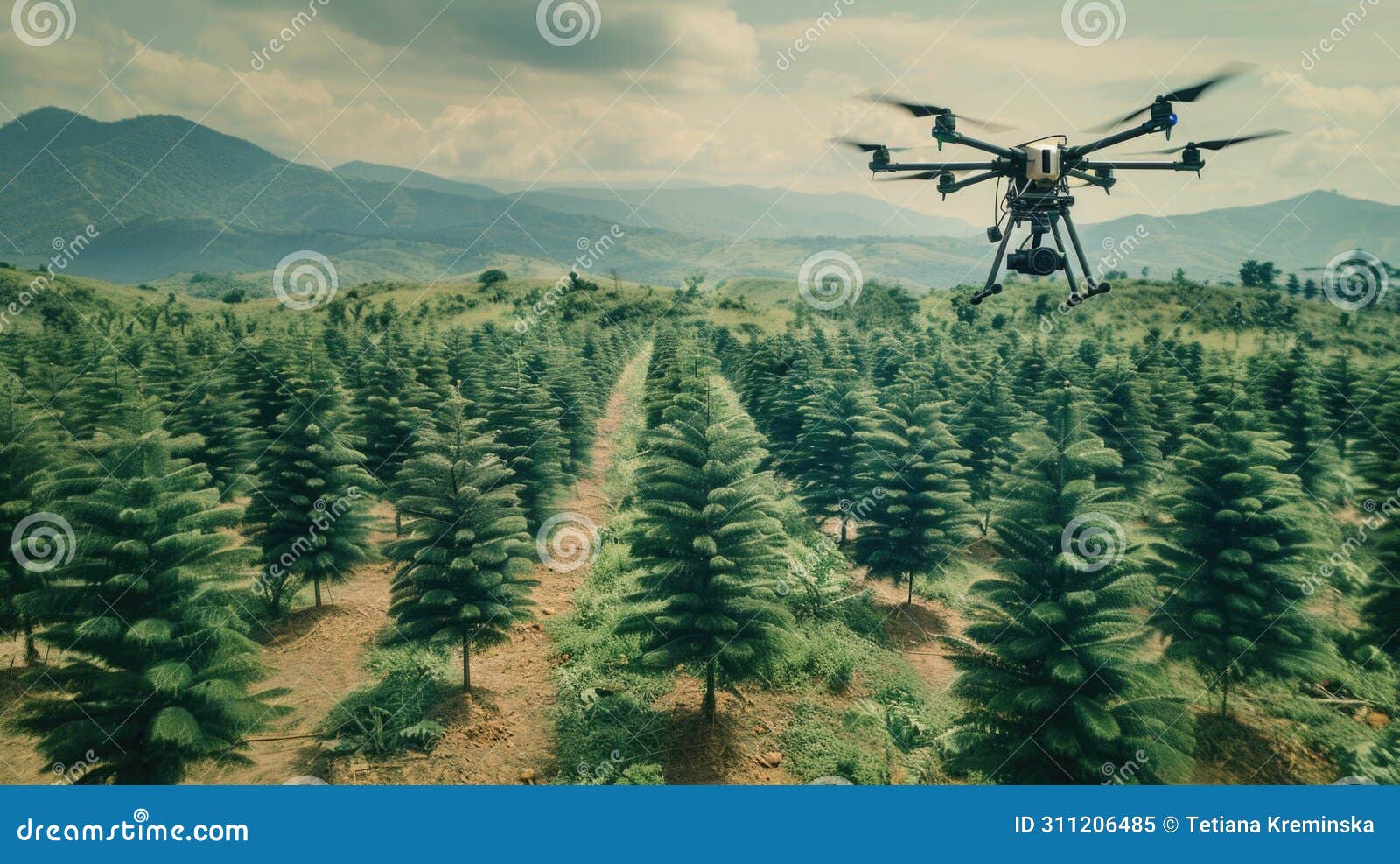 A Drone Reforestation Project in Action, Drones Planting Trees in ... A Drone Reforestation Project in Action, Drones Planting Trees in ...