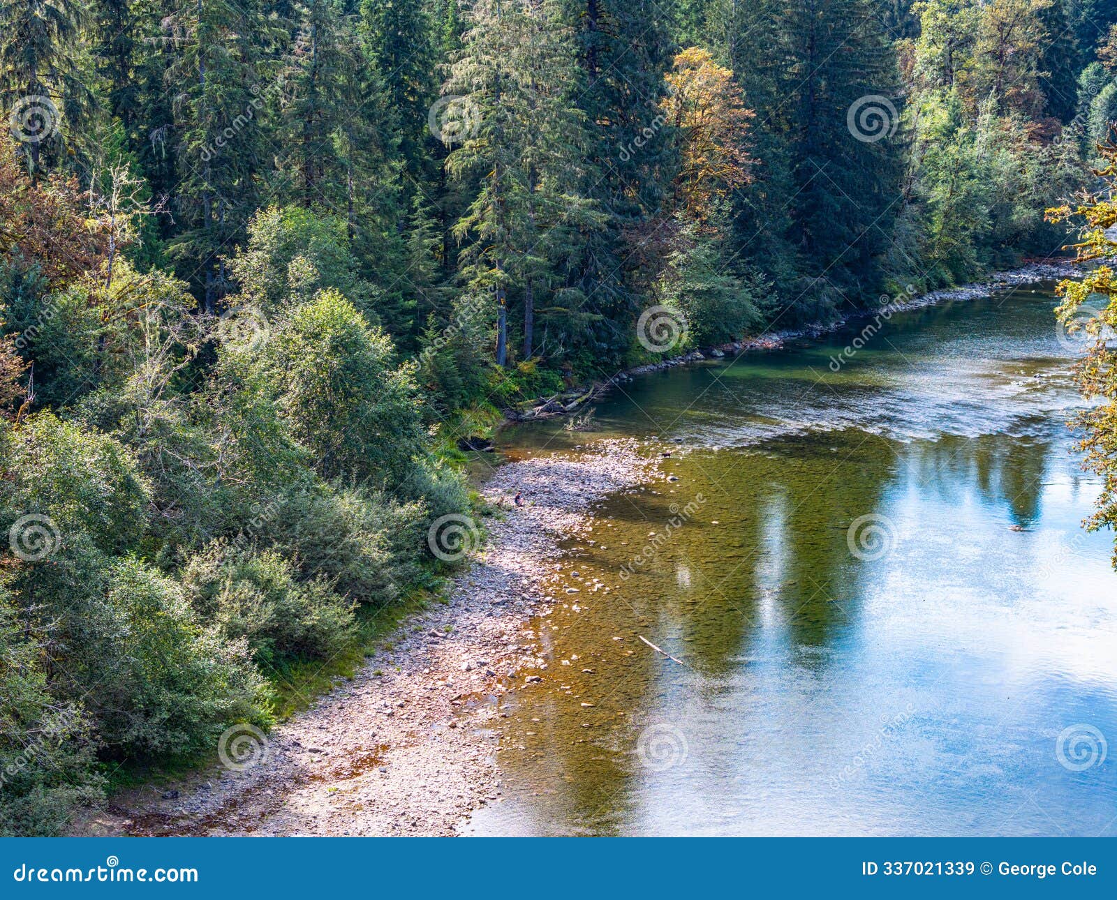 Drone River Shoreline stock image. Image of scenic, washington - 337021339