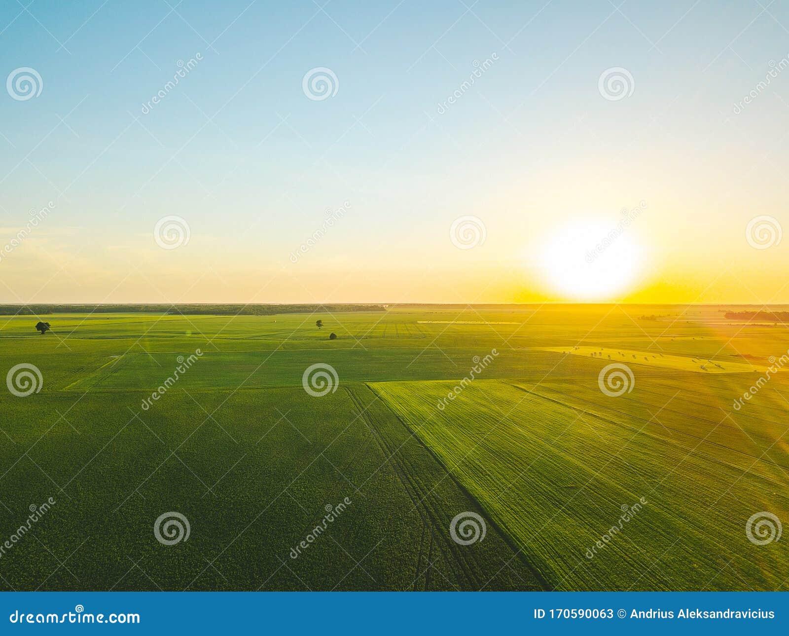 Agriculture Fields in Lithuania Stock Image - Image of harvest, plant ...