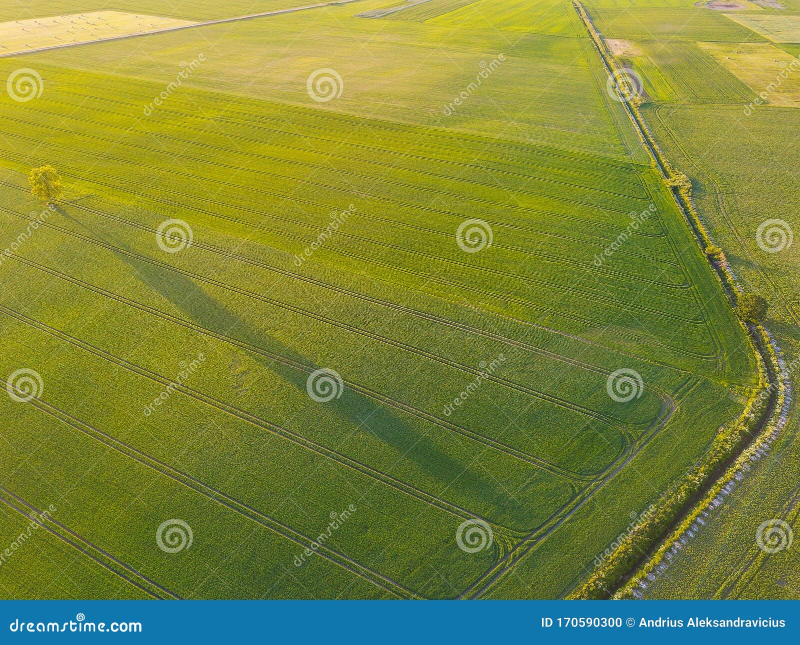 Agriculture Fields in Lithuania Stock Photo - Image of rural, drone ...