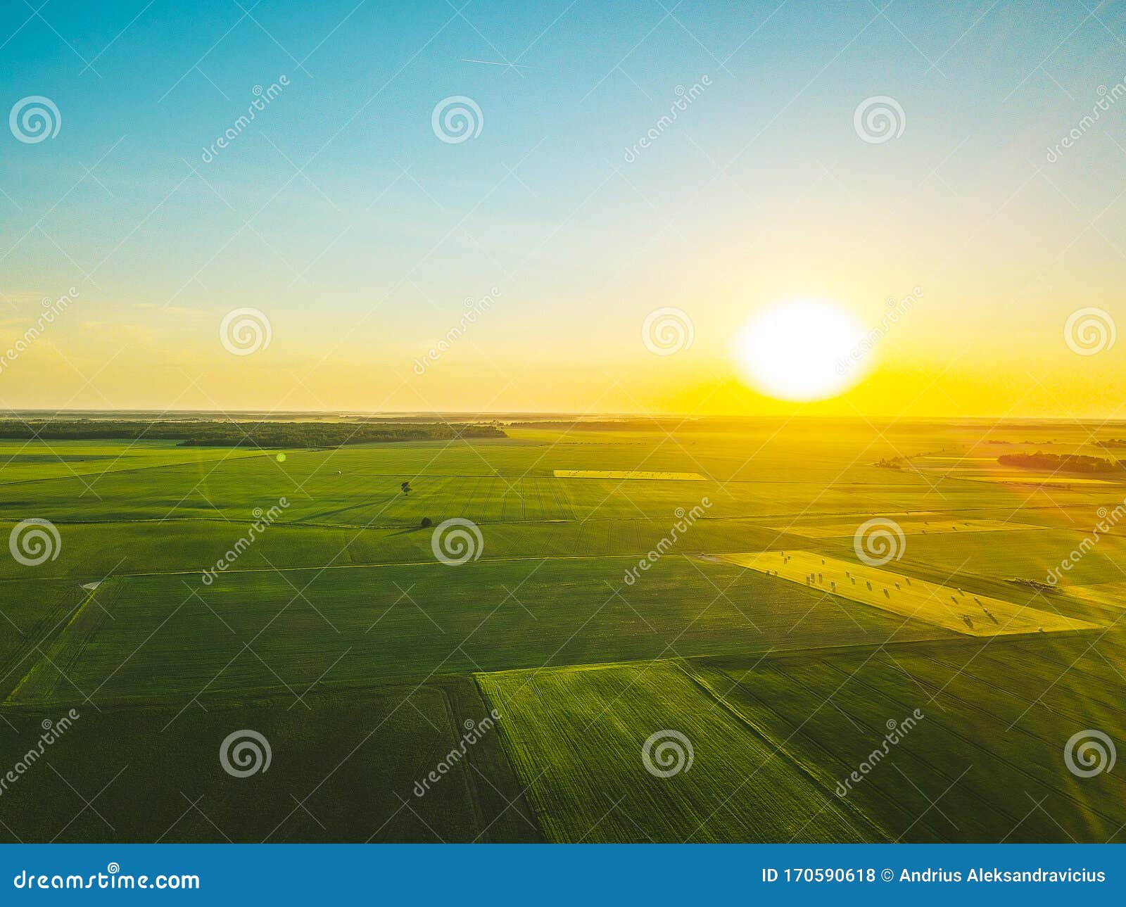 Agriculture Fields in Lithuania Stock Photo - Image of plant, green ...