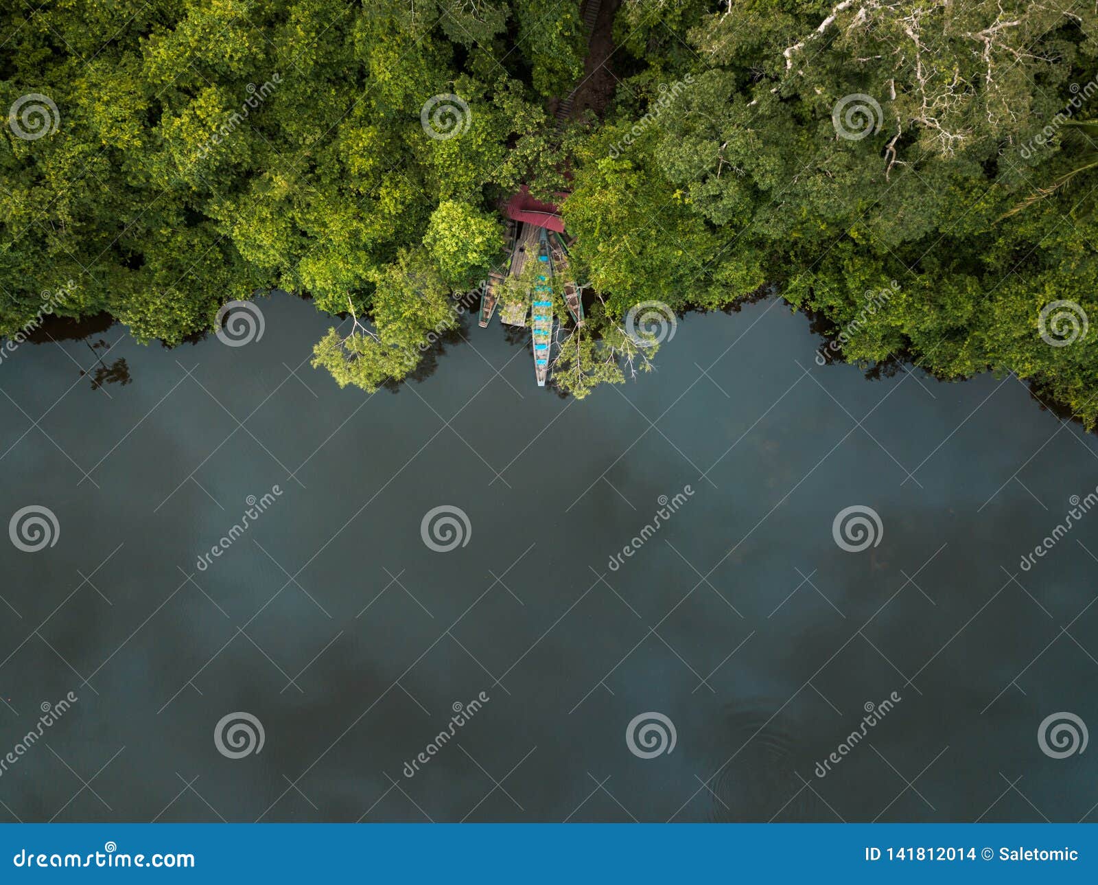 Drone Shot of Jungle before the Rain Stock Photo - Image of humid ...