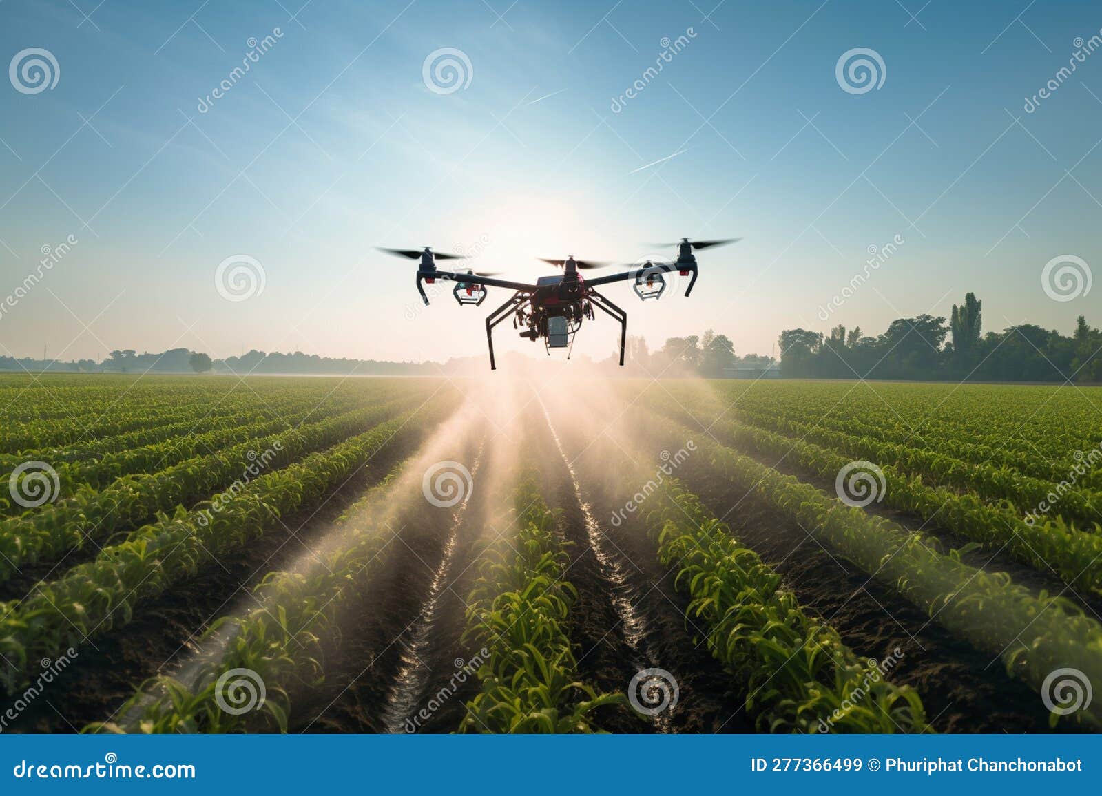 Drone Spraying Crops in Agricultural Setting with Blue Sky with ...