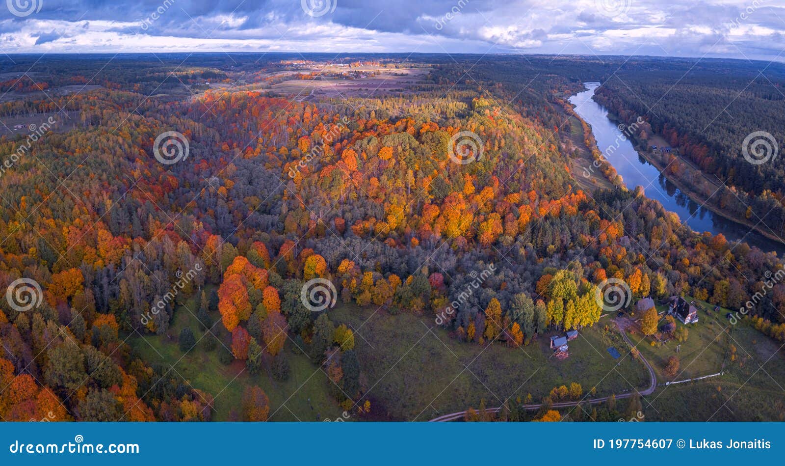 Drone View of Colorful Tree Tops, Lithuania Stock Image - Image of ...