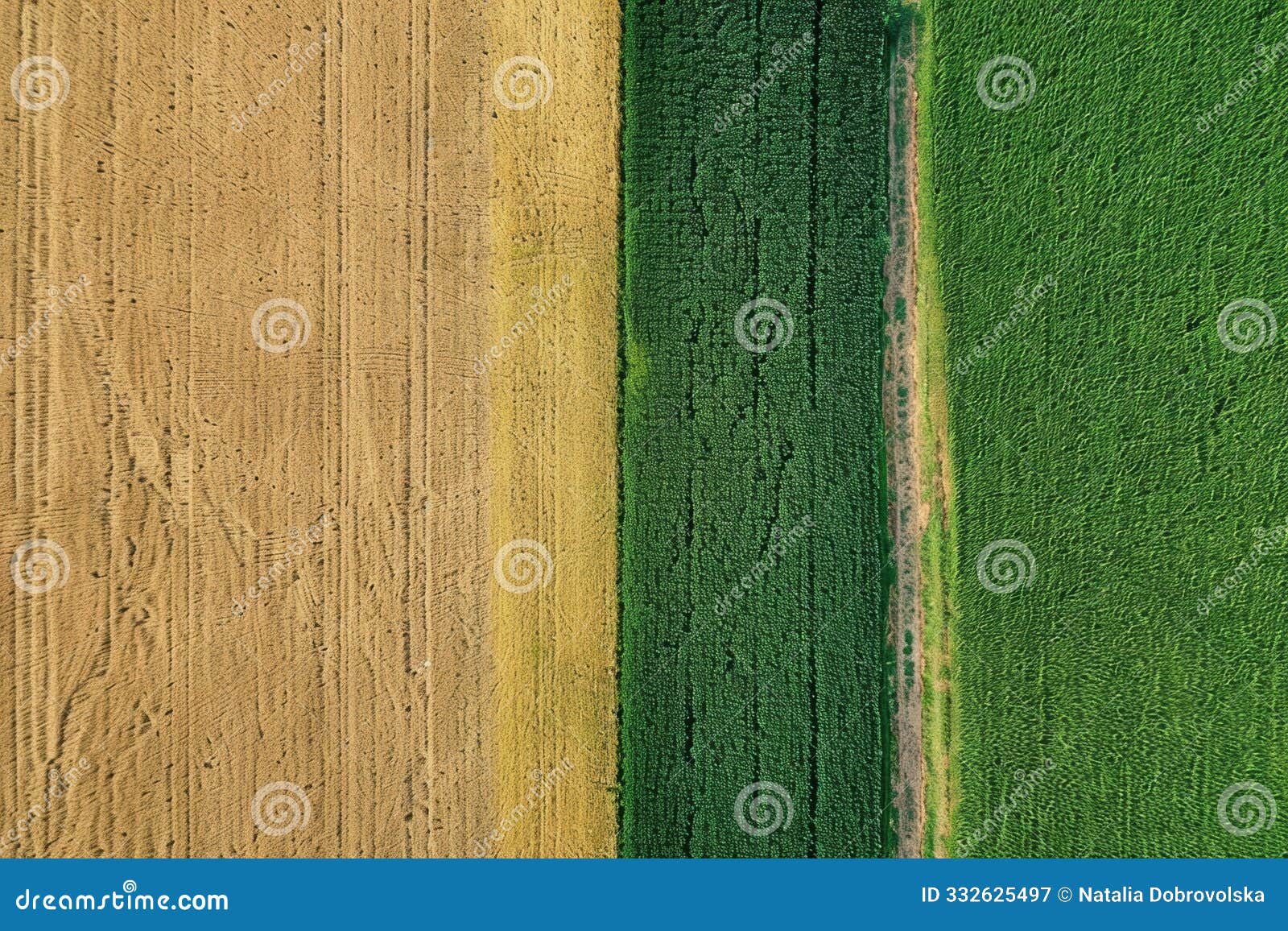 Drone View of Crop Rotation Layout, Emphasizing Sustainable Farming ...
