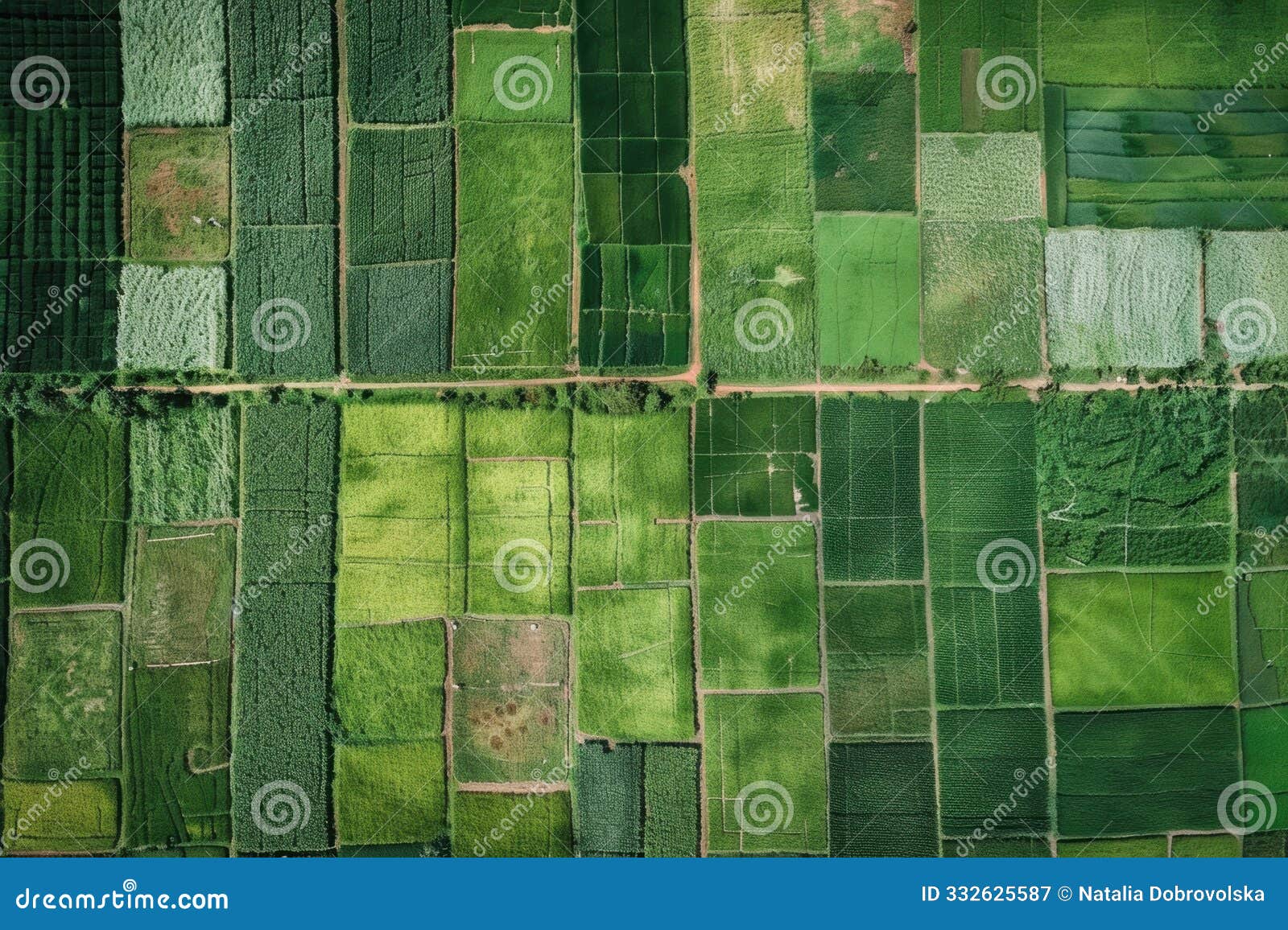 Drone View of Crop Rotation Layout, Emphasizing Sustainable Farming ...