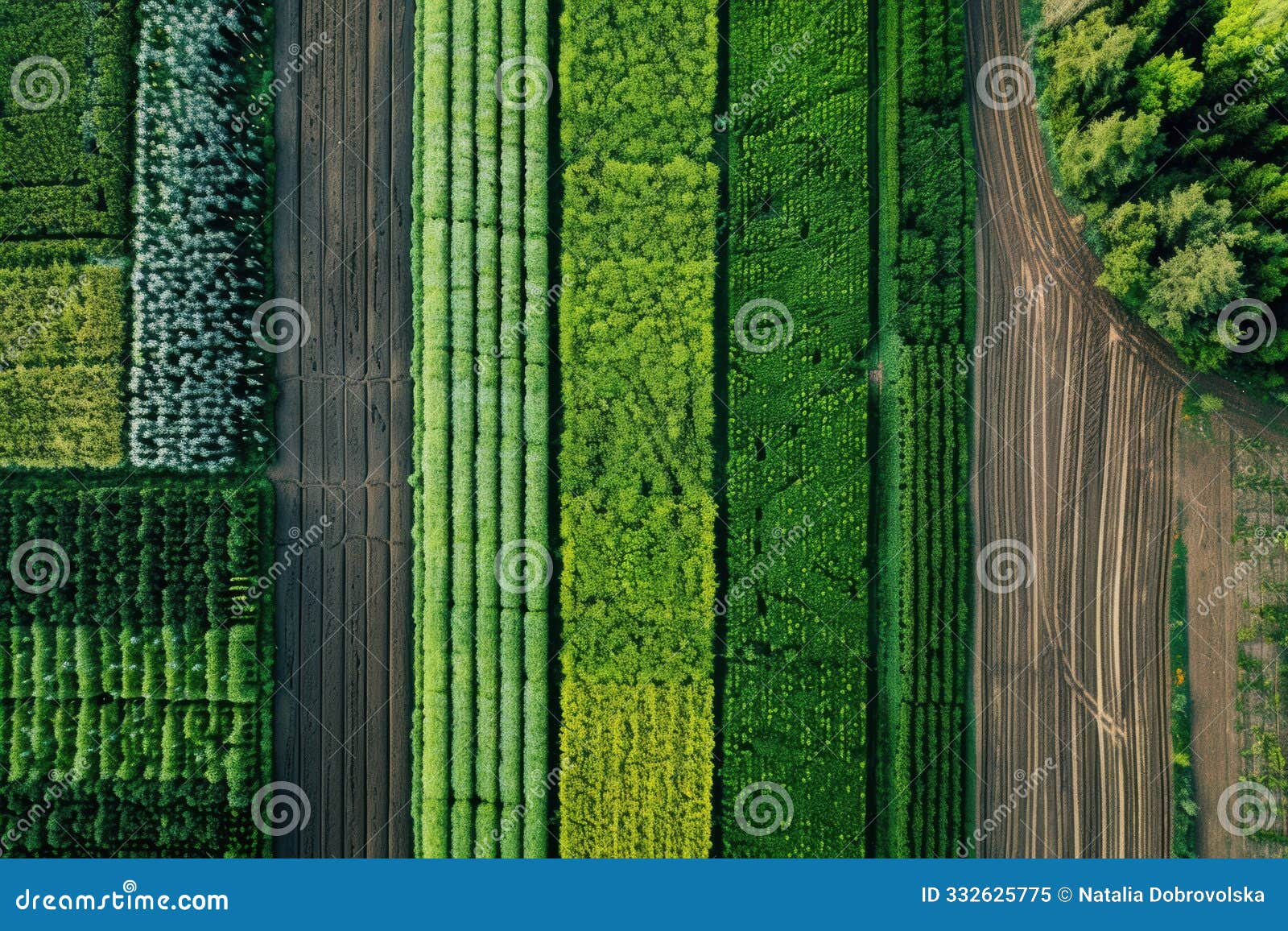 Drone View of Crop Rotation Layout, Emphasizing Sustainable Farming ...