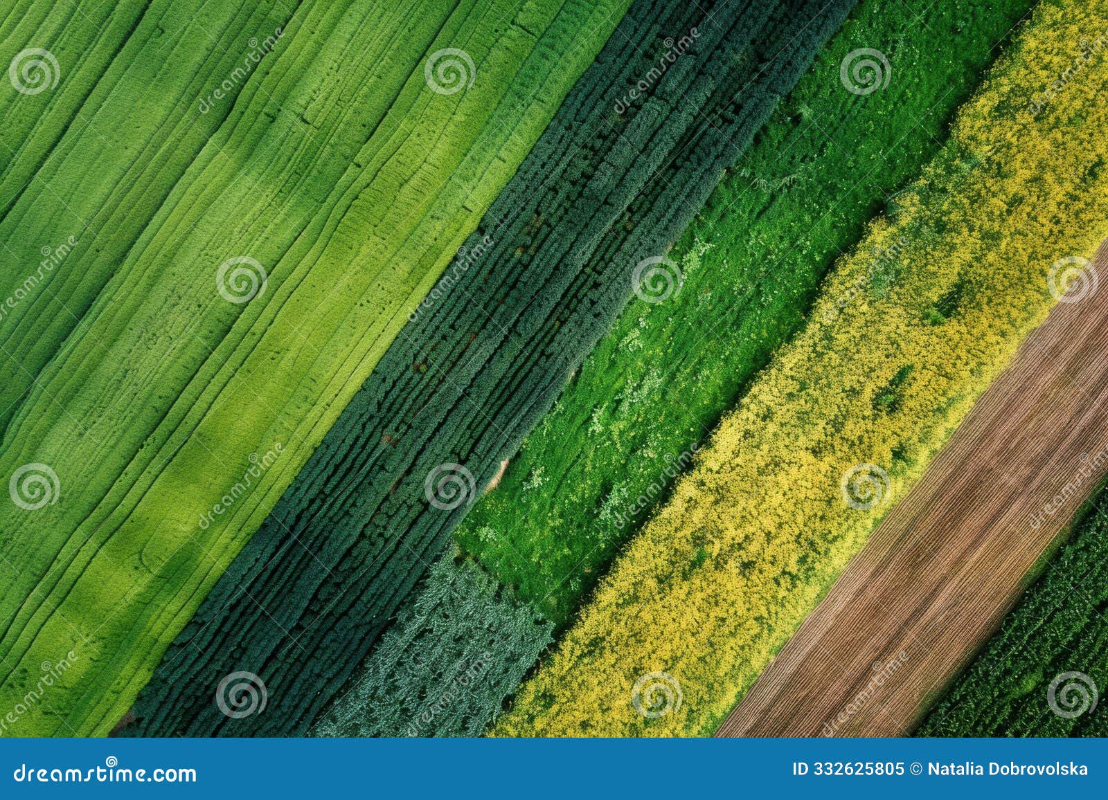 Drone View of Crop Rotation Layout, Emphasizing Sustainable Farming ...