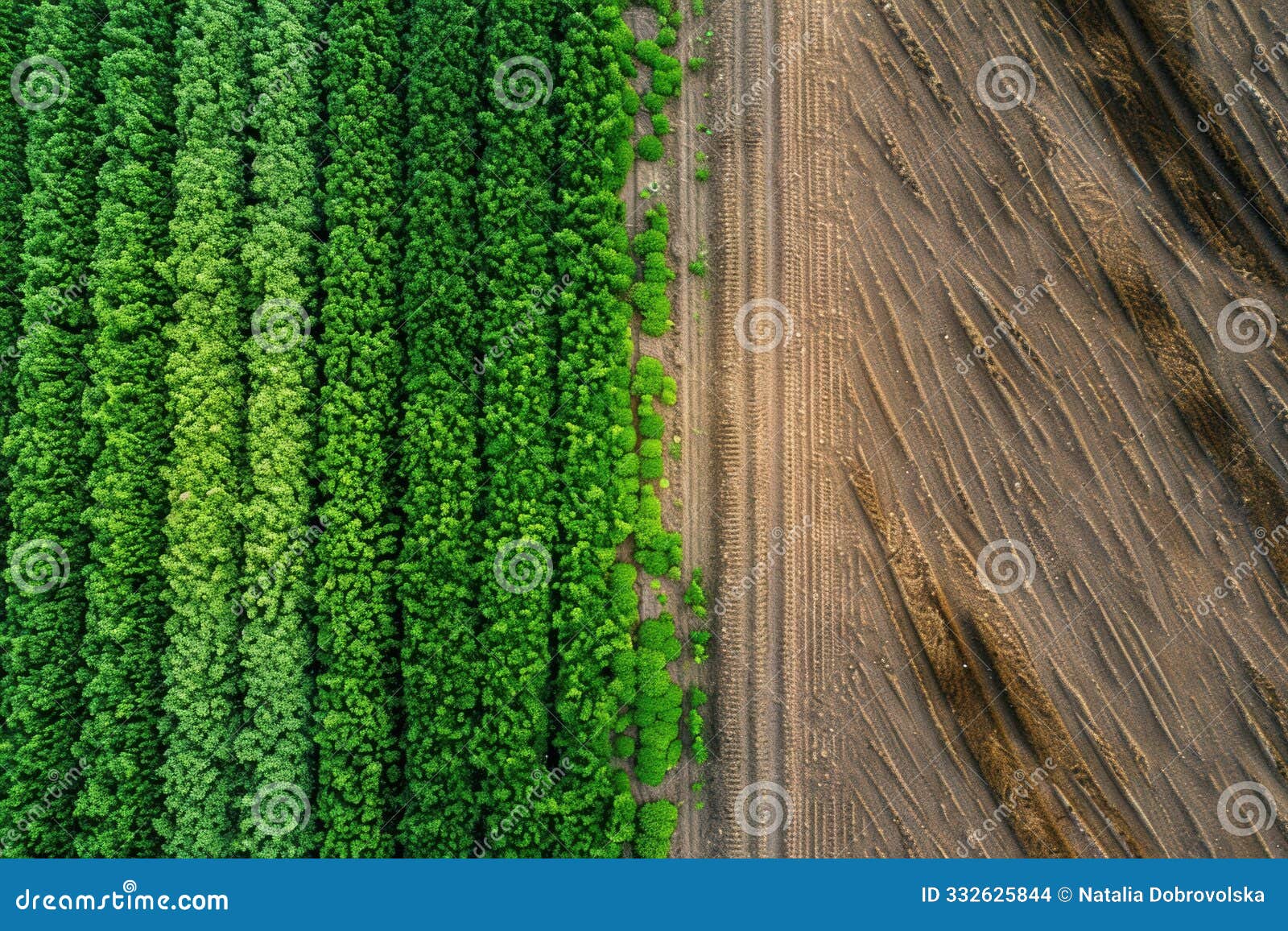 Drone View of Crop Rotation Layout, Emphasizing Sustainable Farming ...