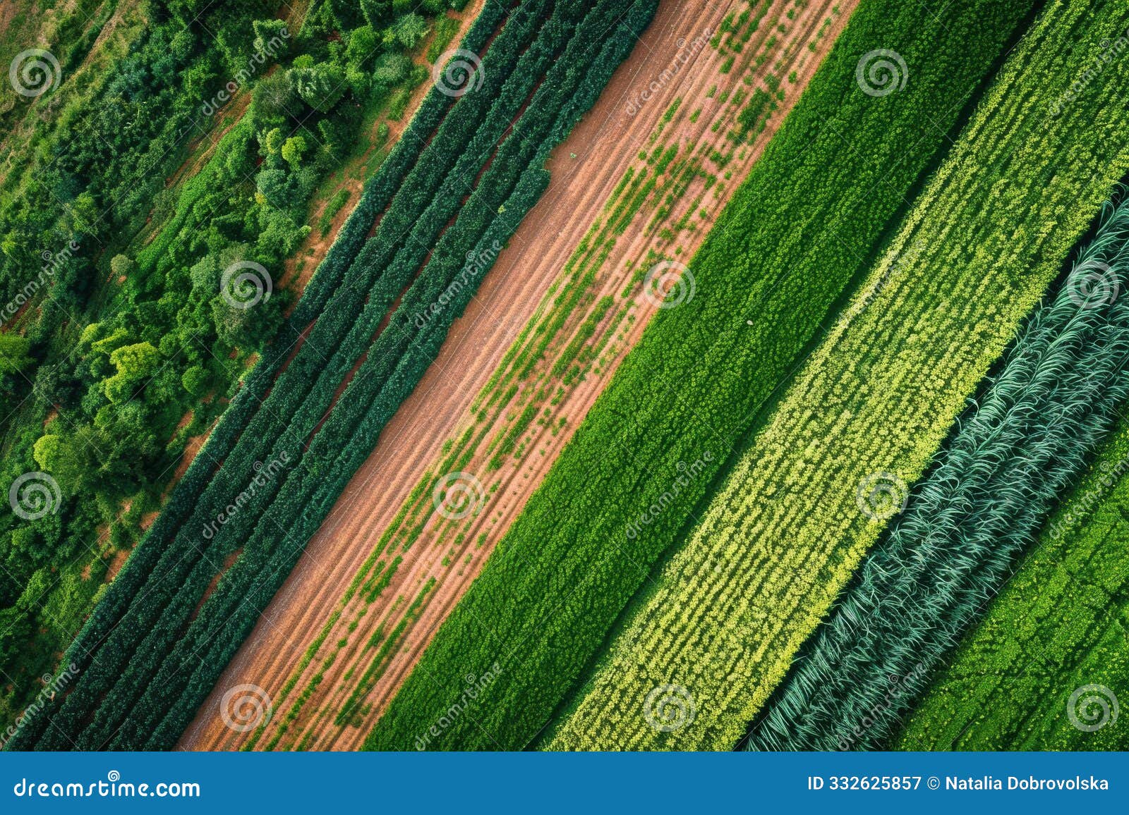 Drone View of Crop Rotation Layout, Emphasizing Sustainable Farming ...