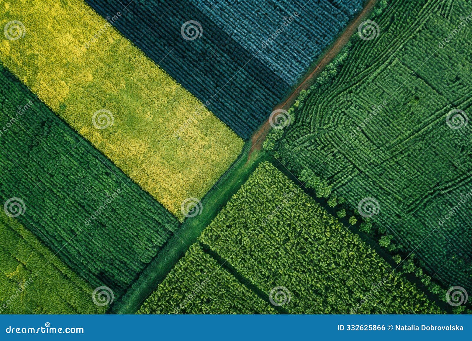 Drone View of Crop Rotation Layout, Emphasizing Sustainable Farming ...