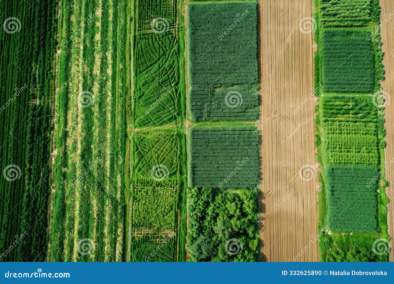 Drone View of Crop Rotation Layout, Emphasizing Sustainable Farming ...