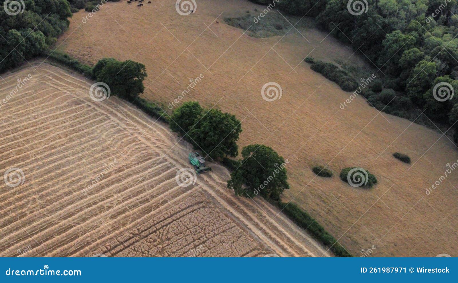 Drone View of Fields Covered in Greenery and Crops in the Countryside ...