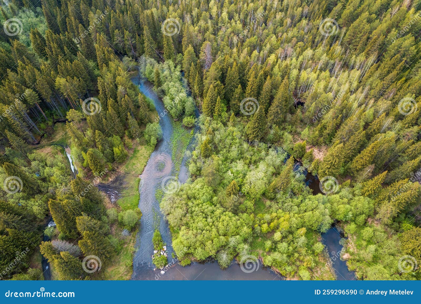 Drone View of the Forest River, Trees and Forest Stock Photo - Image of ...