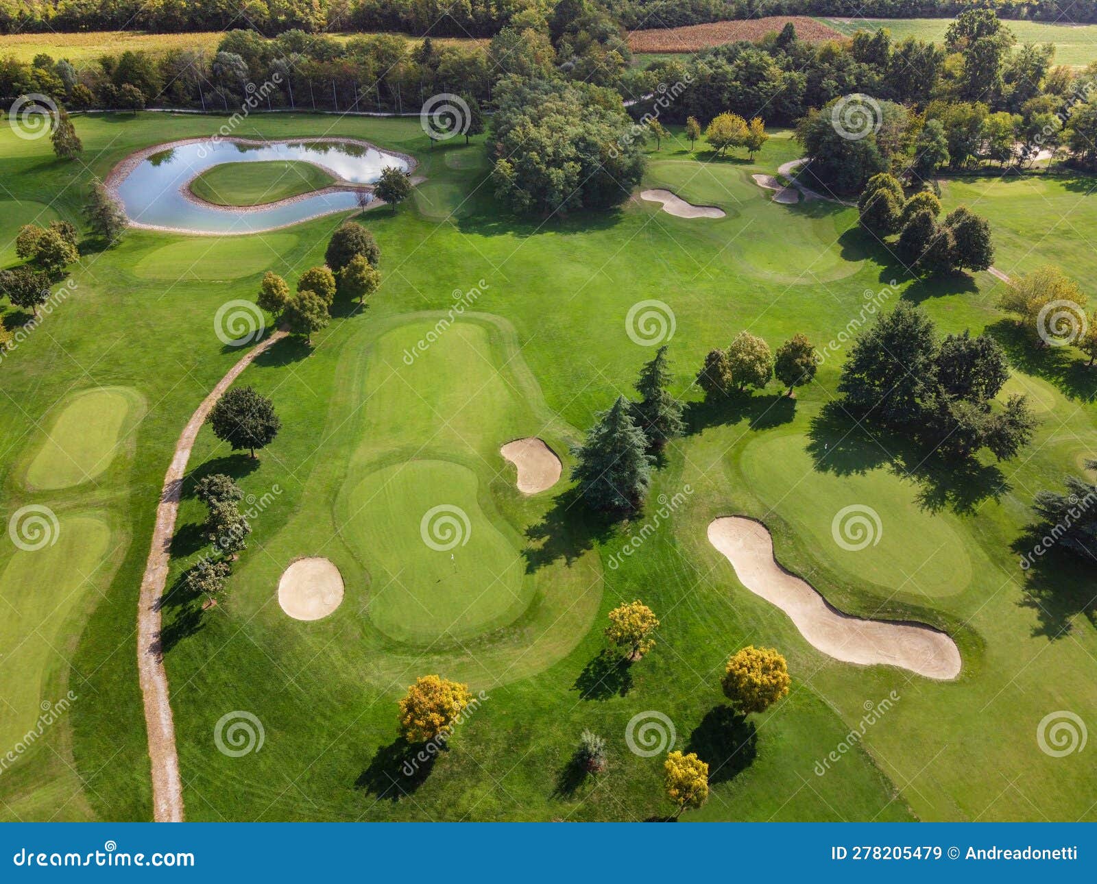 Golf Course with Trees and Plants during Sunny Day Stock Image - Image ...