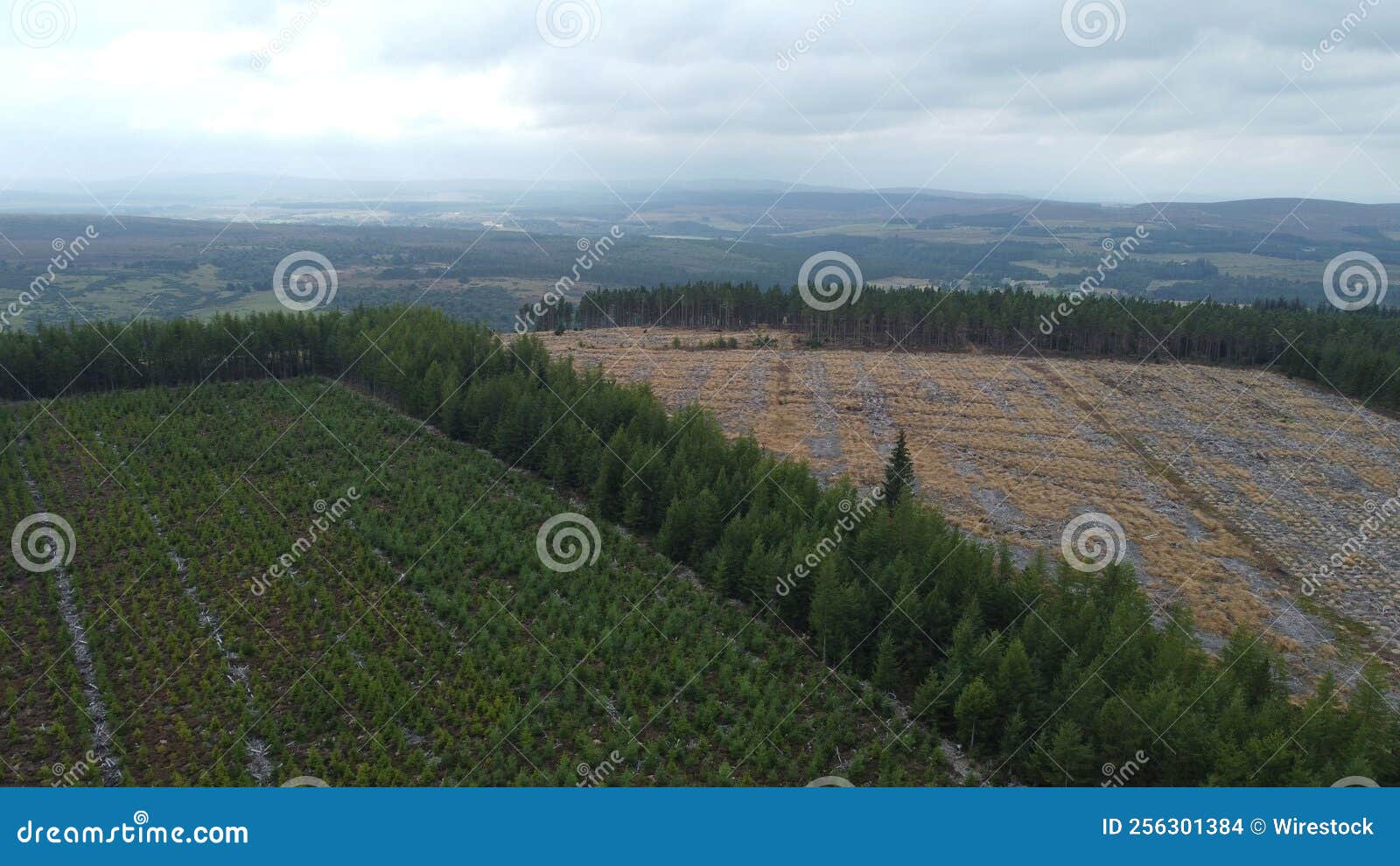 Drone View of Green Fields and Trees Under a Cloudy Sky Stock Photo ...
