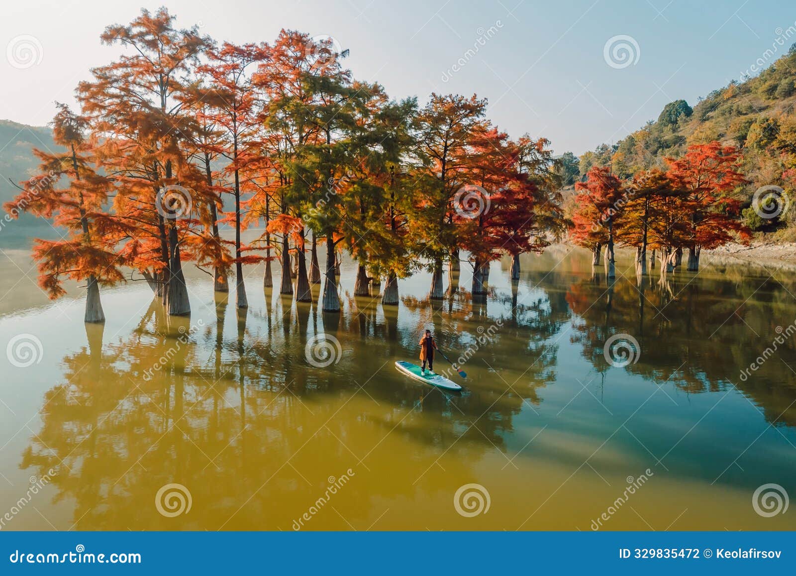 Drone View with Human Paddle Board at the River with Autumnal Swamp ...