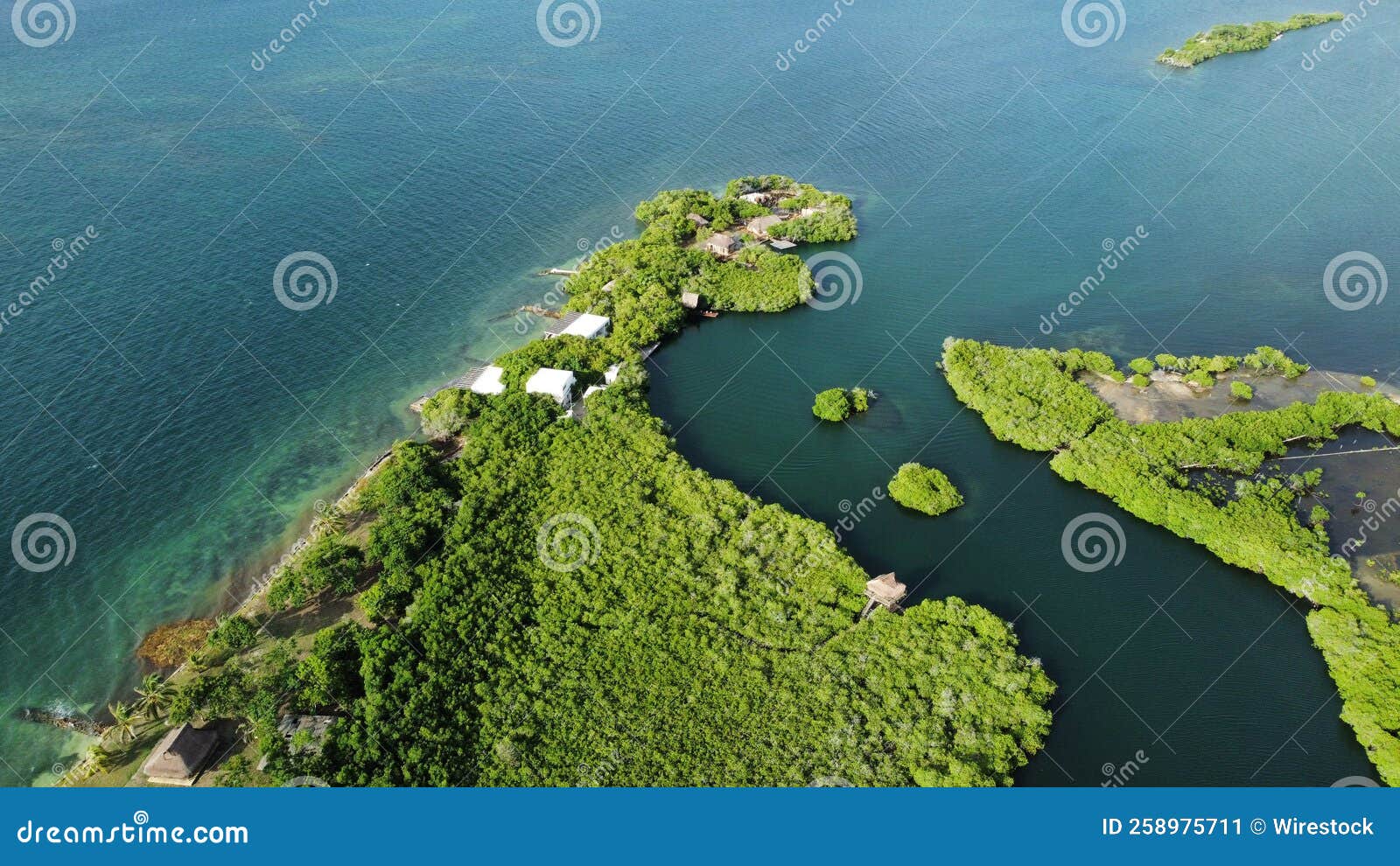 Drone View of a Jungle Next To the Ocean Stock Image - Image of ...