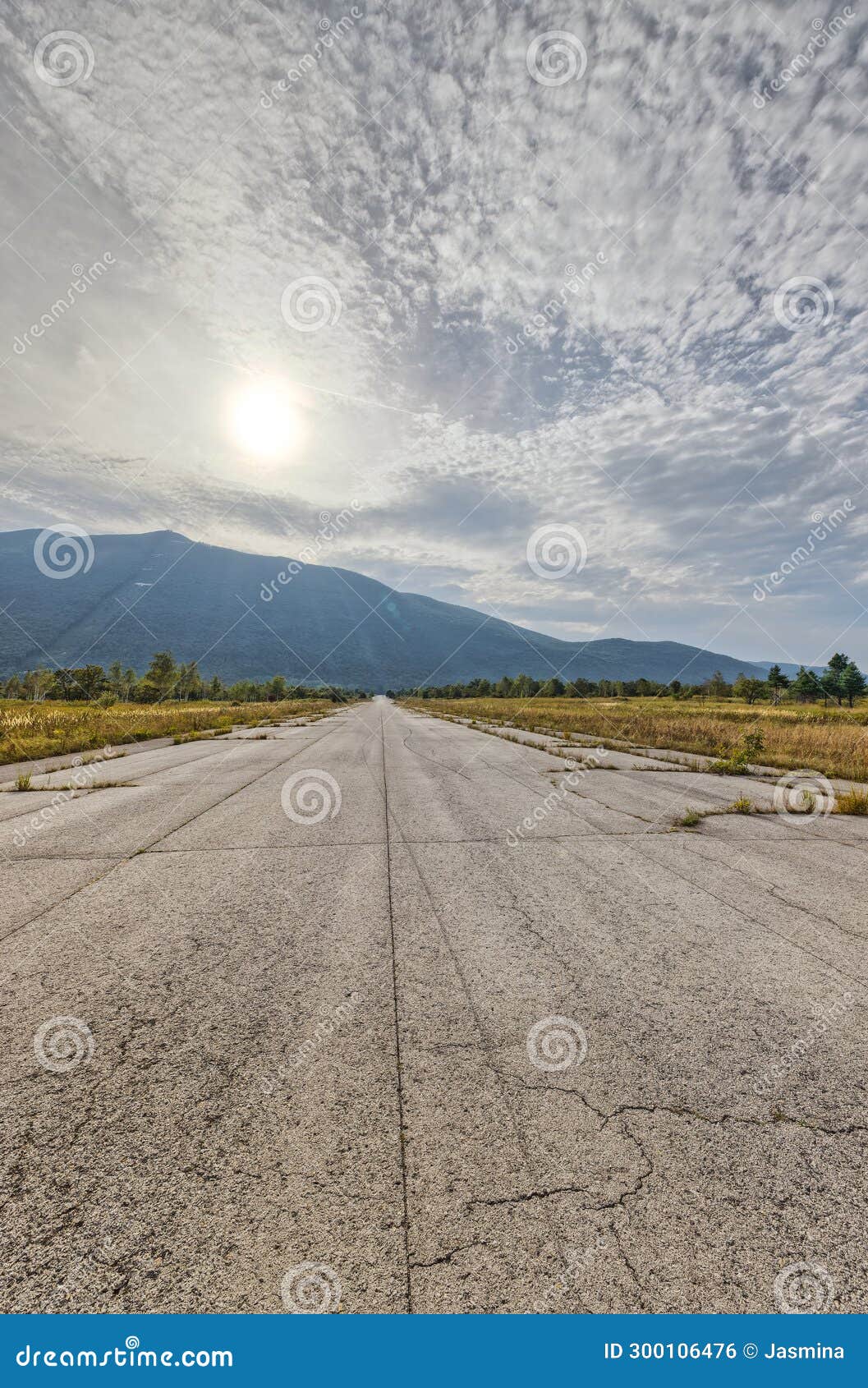 Abandoned Runway at Zeljava, Croatia Stock Photo - Image of landscape ...
