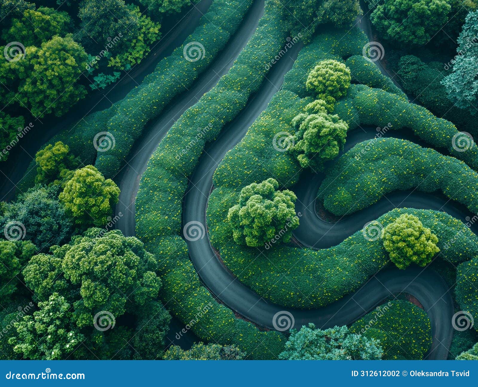 Drone View of Path To Walk Around and Trees, Natural Landscape Stock ...