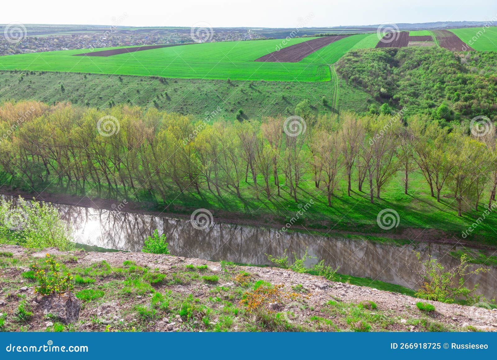 Drone View of a River between Fields Stock Image - Image of hills ...