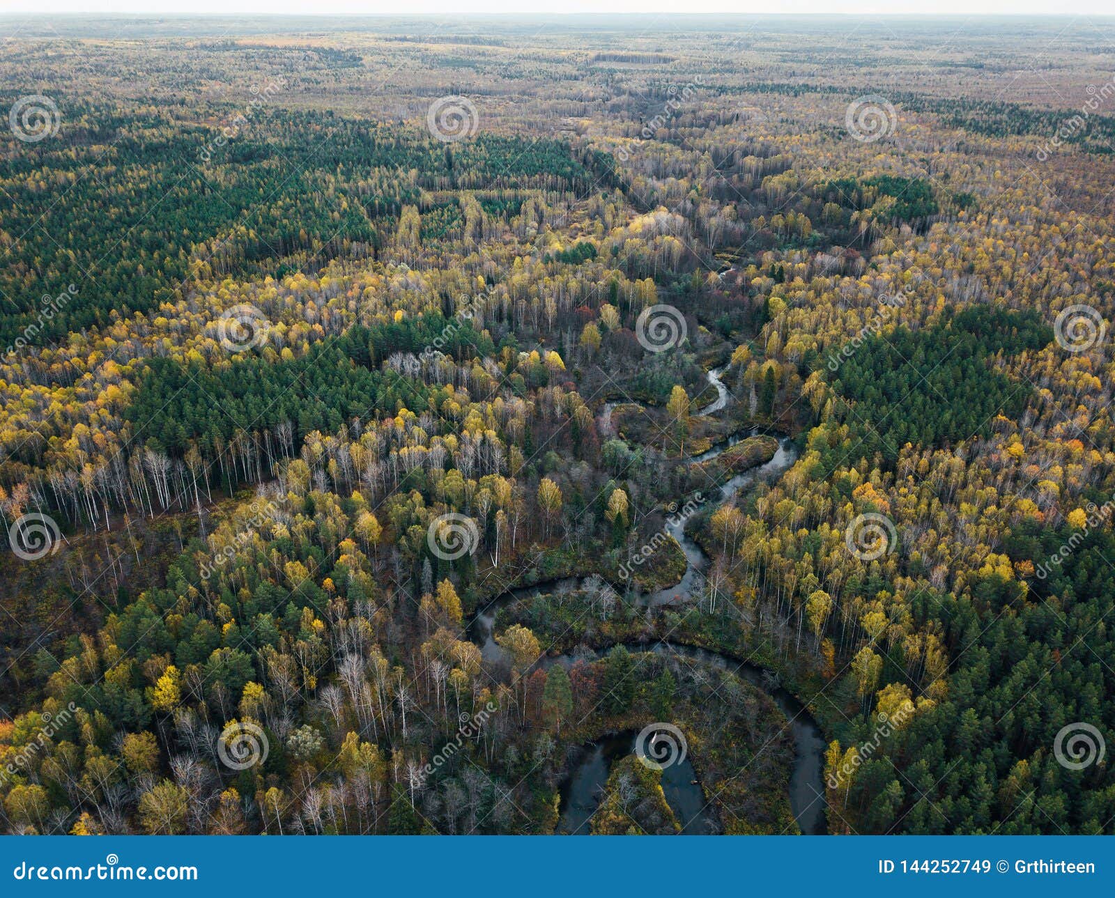 Drone View on River and Forest in Russia Stock Image - Image of ...