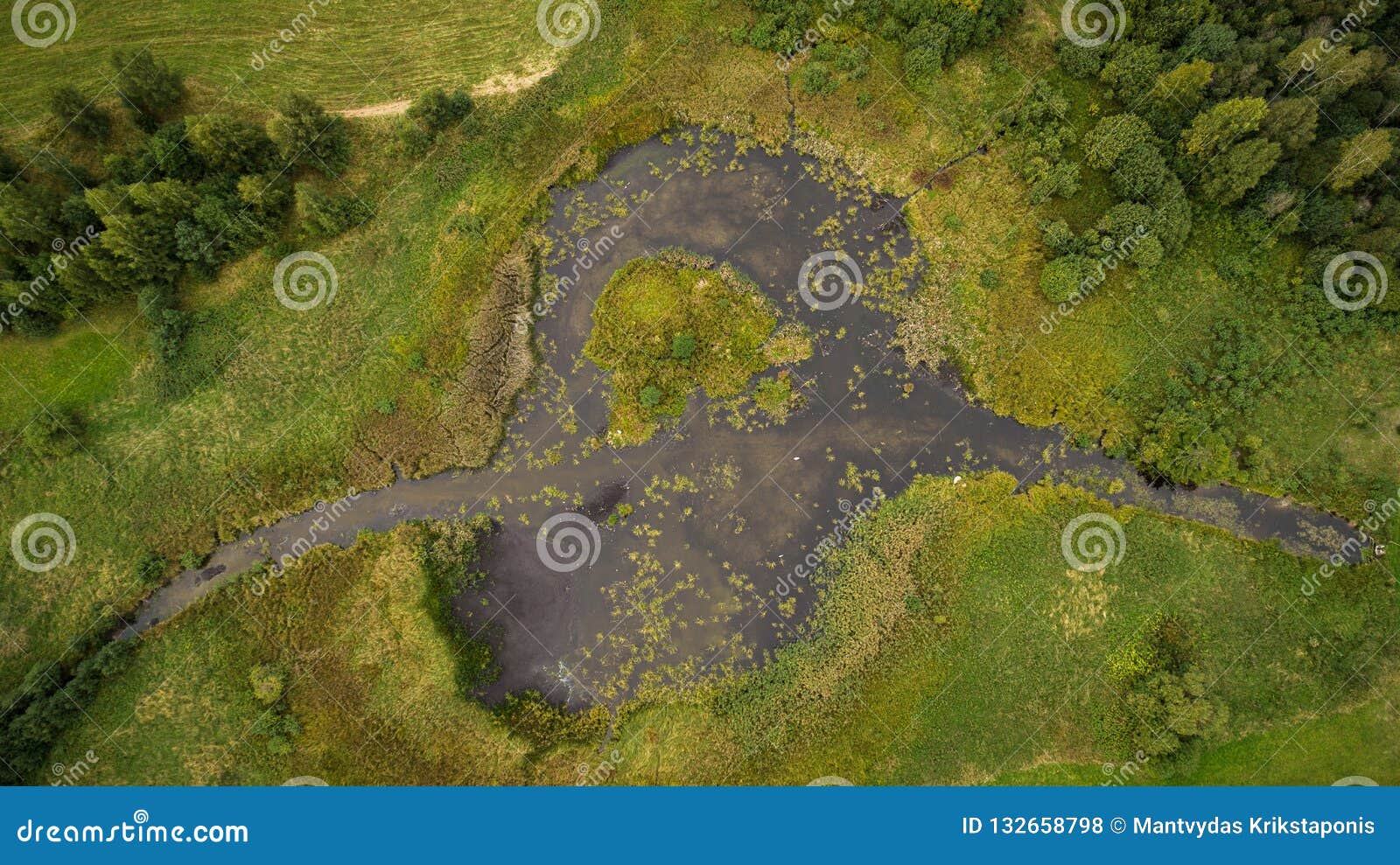 Drone View of River and Swamp Stock Photo - Image of park, beauty ...