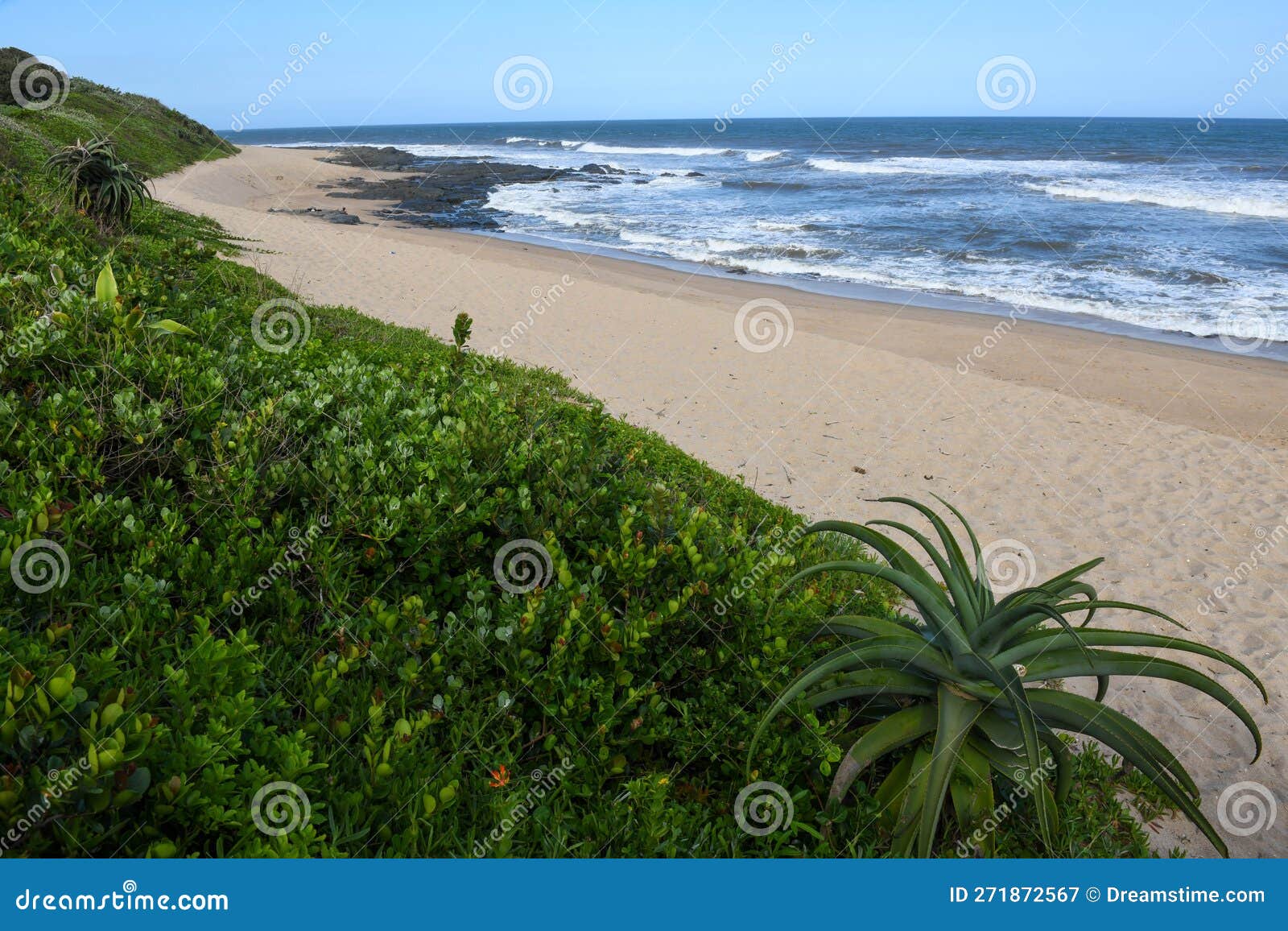 Drone View at Shelly Beach in South Africa Stock Image - Image of ...