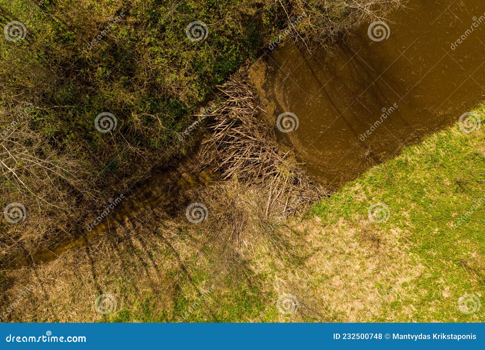 Drone View of Small Beaver Dams on a River during Summer Days Stock ...