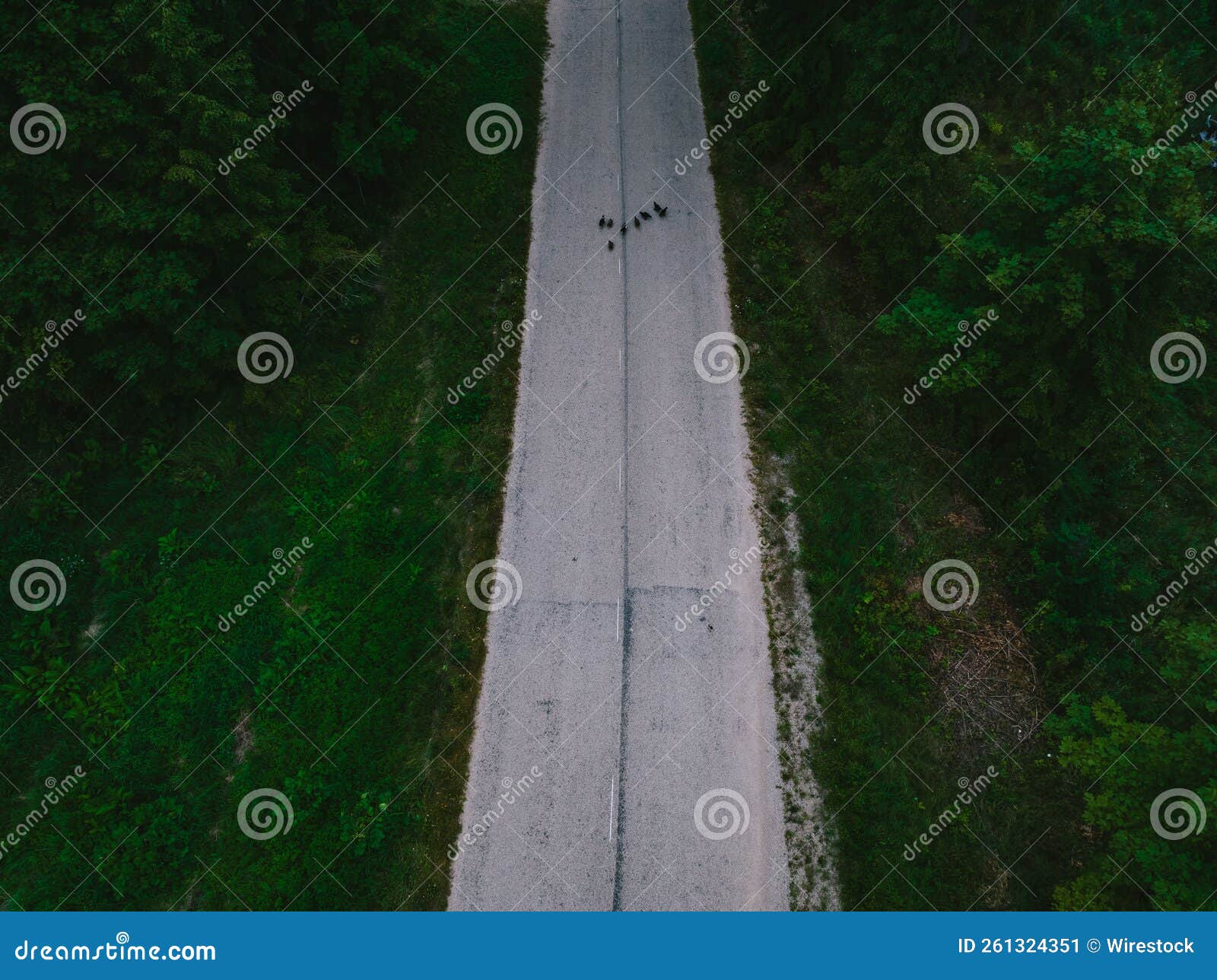 Drone View of a a Straight Asphalt Road in Greenery Stock Image - Image ...