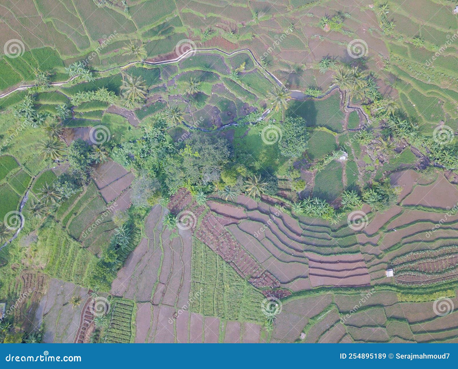 Drone View of Terraced Rice Fields Stock Image - Image of pattern ...