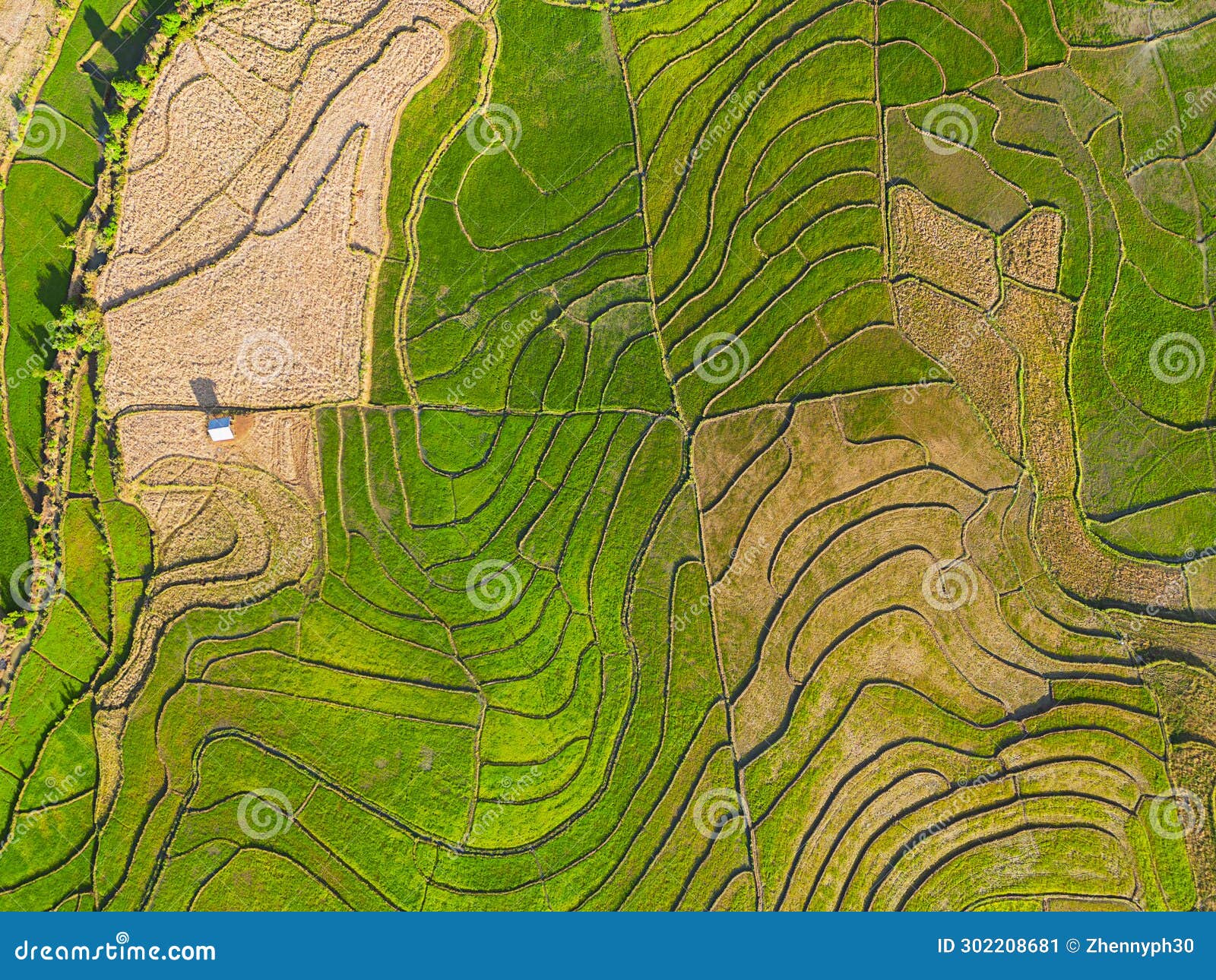 Drone View of Terraced Rice Fields in Vietnam Stock Image - Image of ...