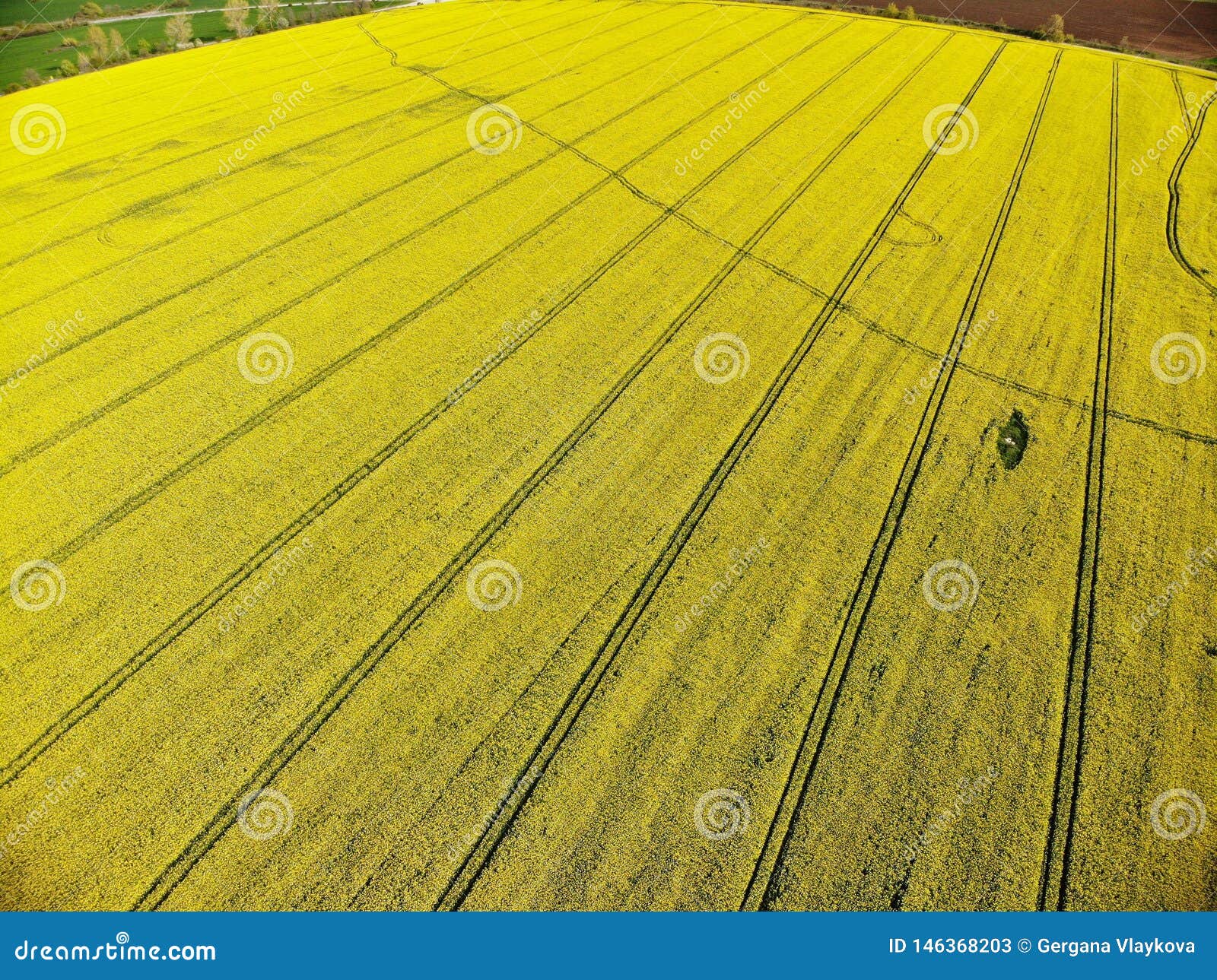 Drone View of Yellow Seed Fields Stock Image - Image of spring ...