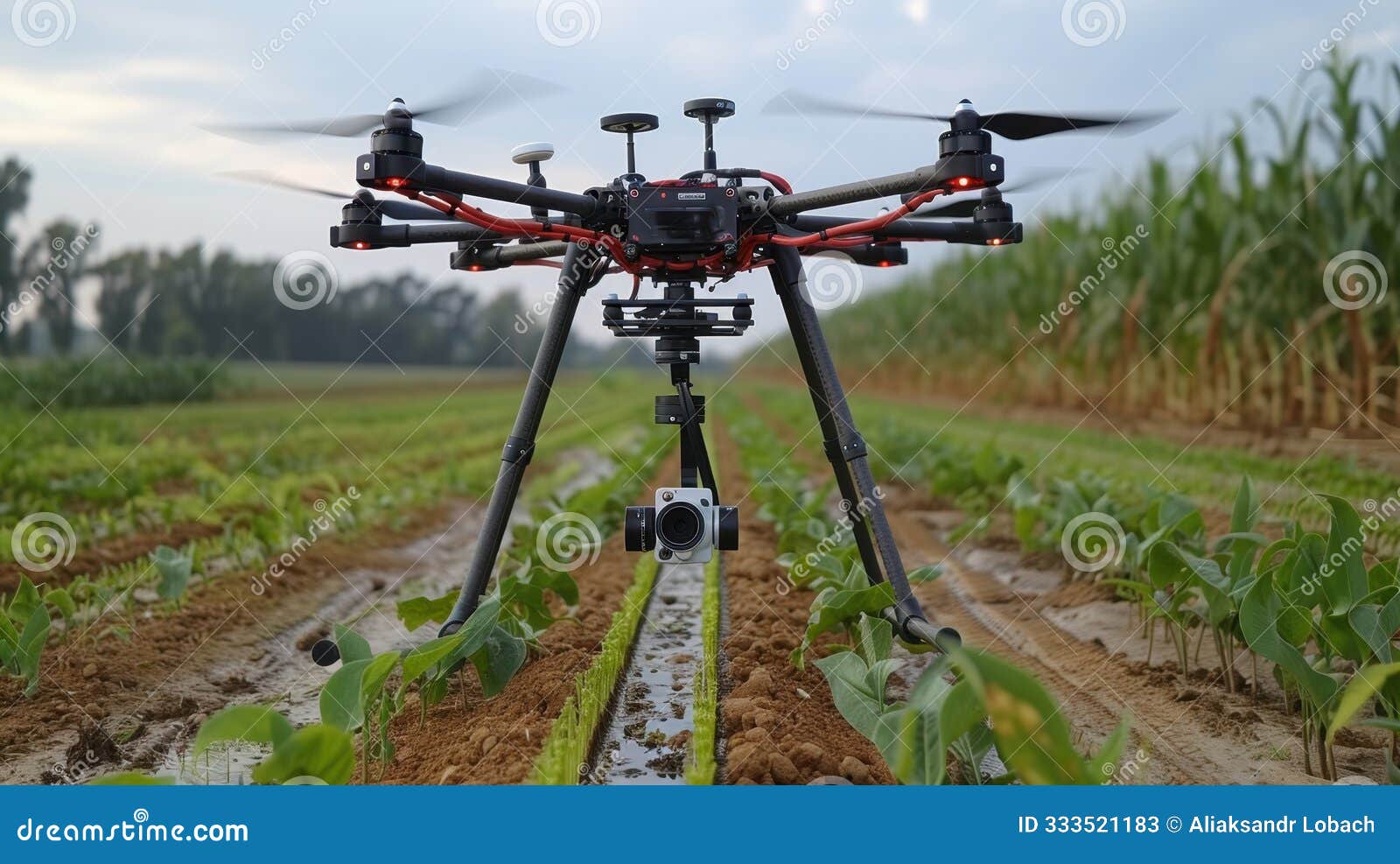 Drones in Agriculture. Unmanned Quadcopter in an Agricultural Field ...