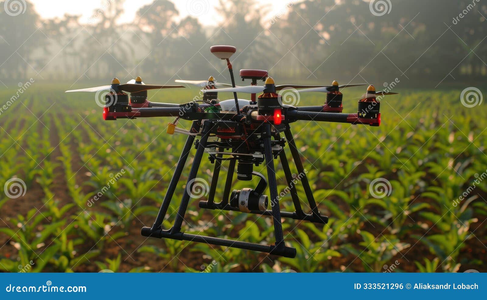 Drones in Agriculture. Unmanned Quadcopter in an Agricultural Field ...