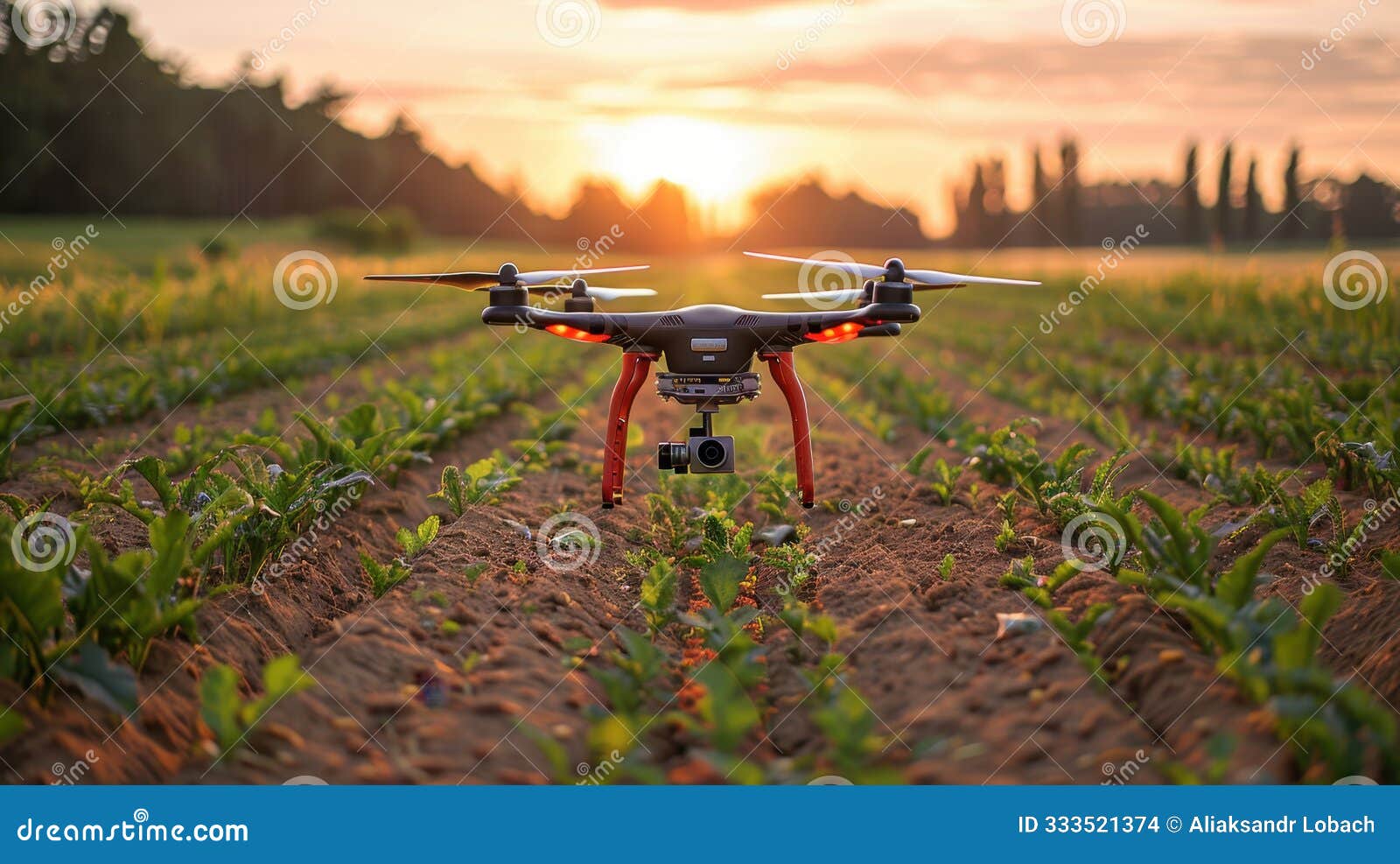 Drones in Agriculture. Unmanned Quadcopter in an Agricultural Field ...