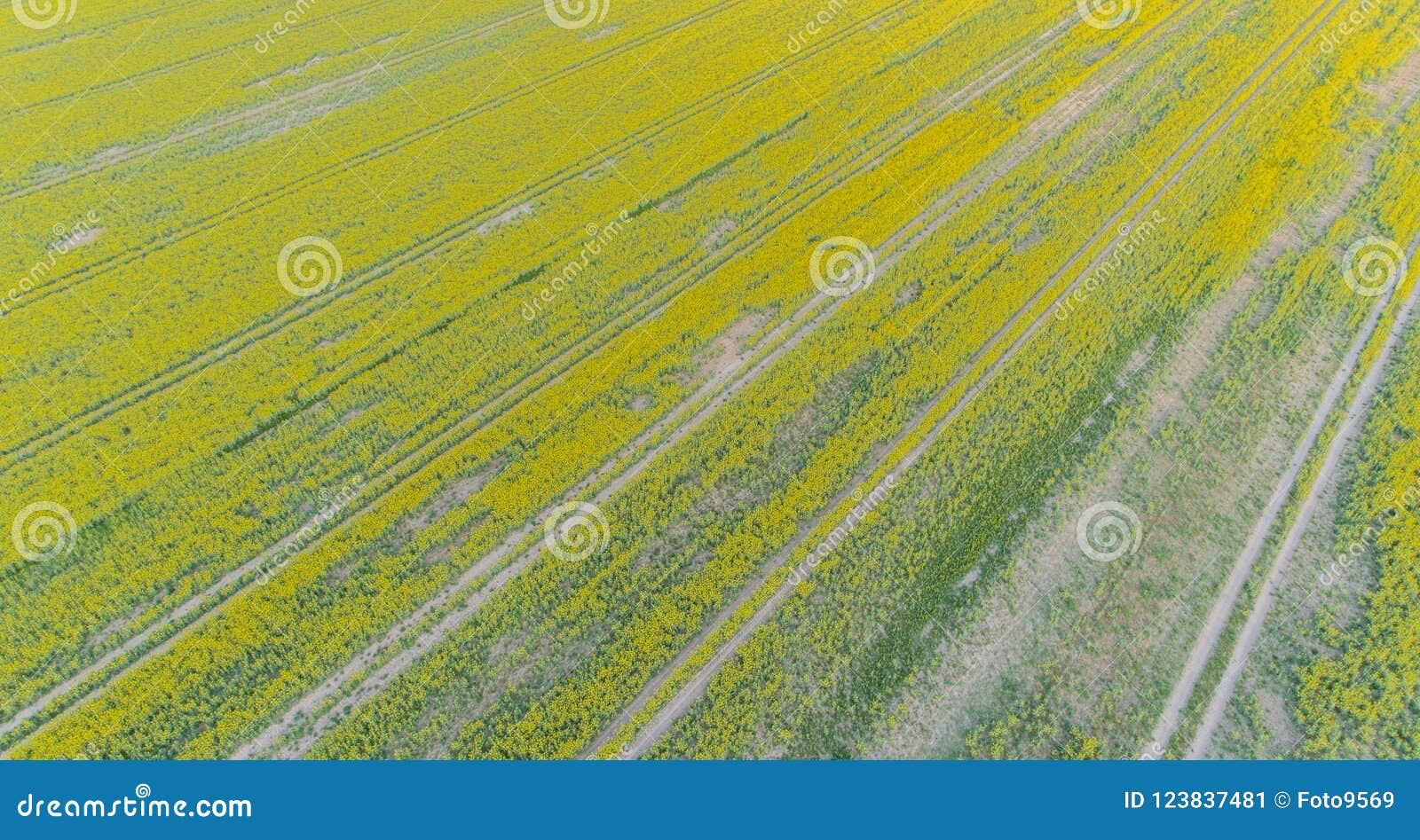 Drones Flight and Aerial View Over a Field Stock Image - Image of ...
