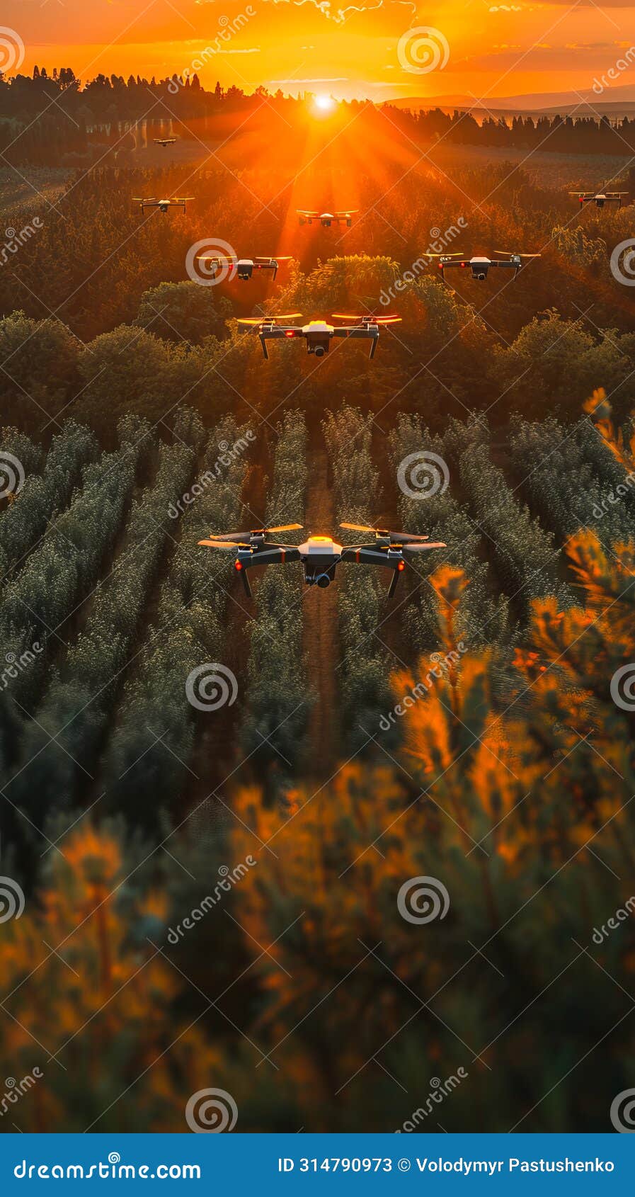 Drones Flying Over a Field at Sunset Stock Image - Image of field ...
