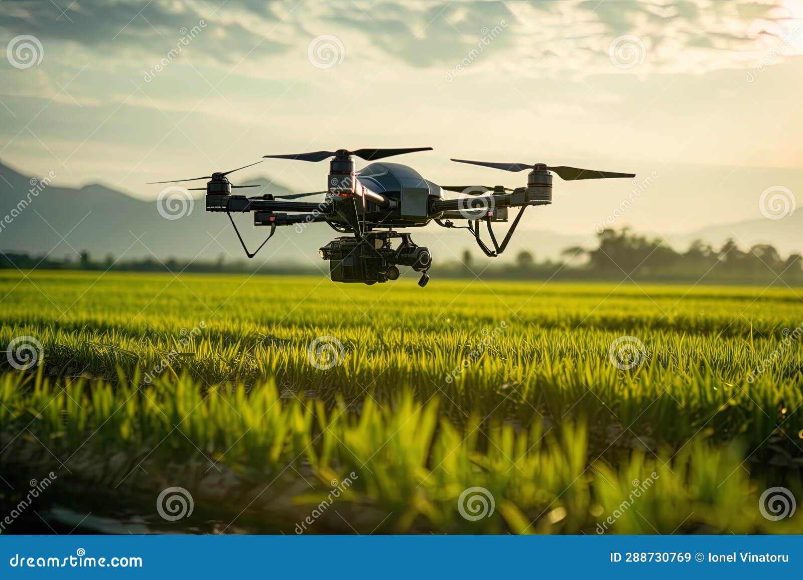 Drones Flying Over Vast Agricultural Fields, Advanced Farming ...