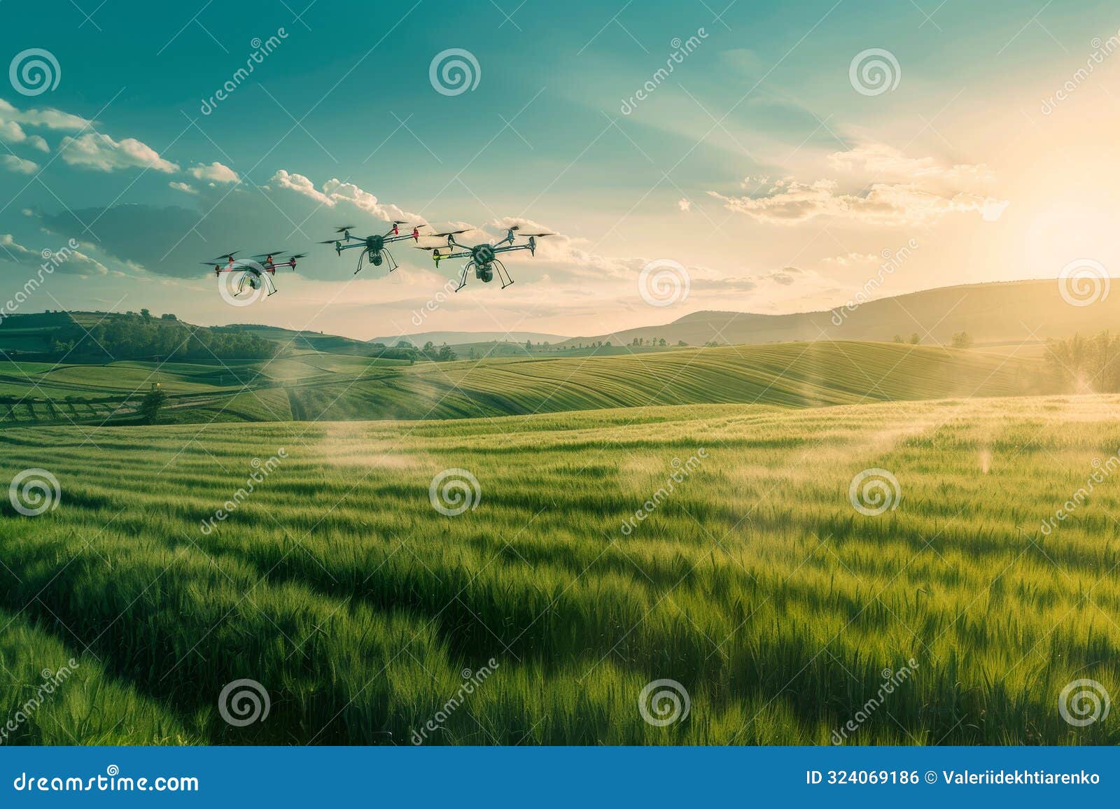 Drones Hover Over a Field of Crops, Spraying Them with Precision Under ...