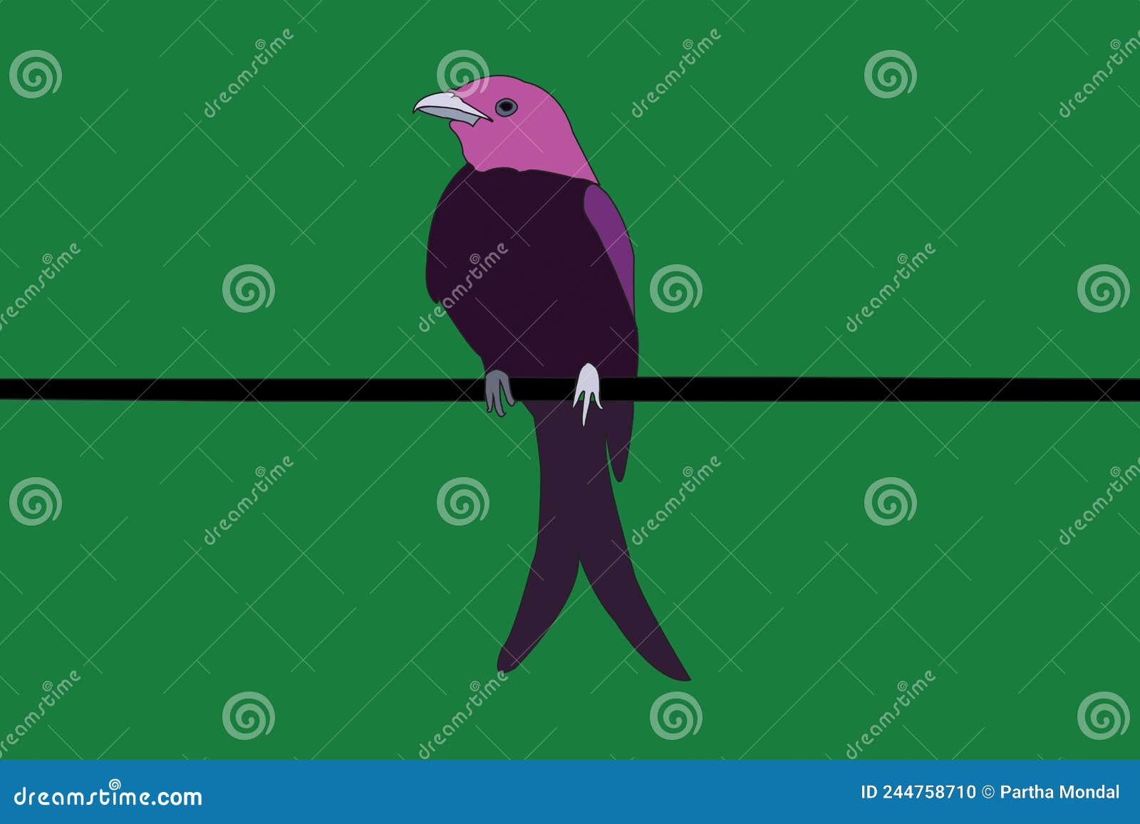 Drongo Bird Vector Art | CartoonDealer.com #244758710