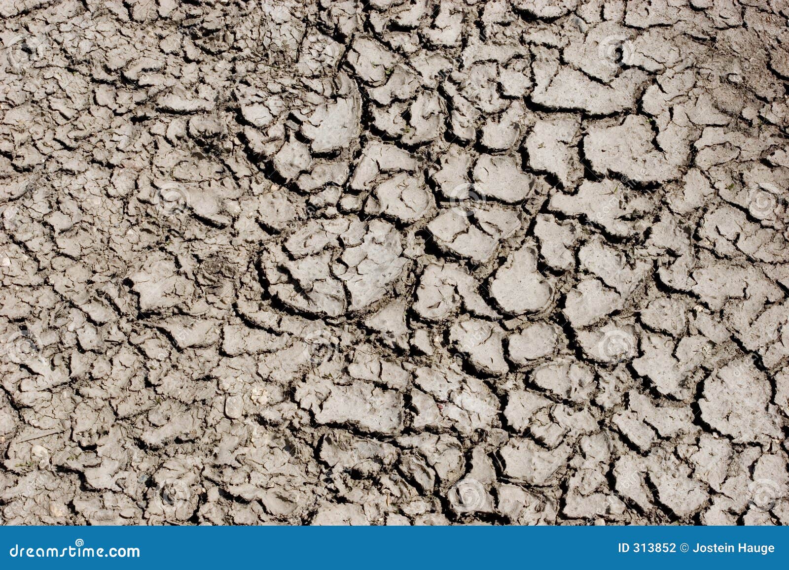 Droogte stock foto. Image of hitte, aarde, modder, vuil - 313852